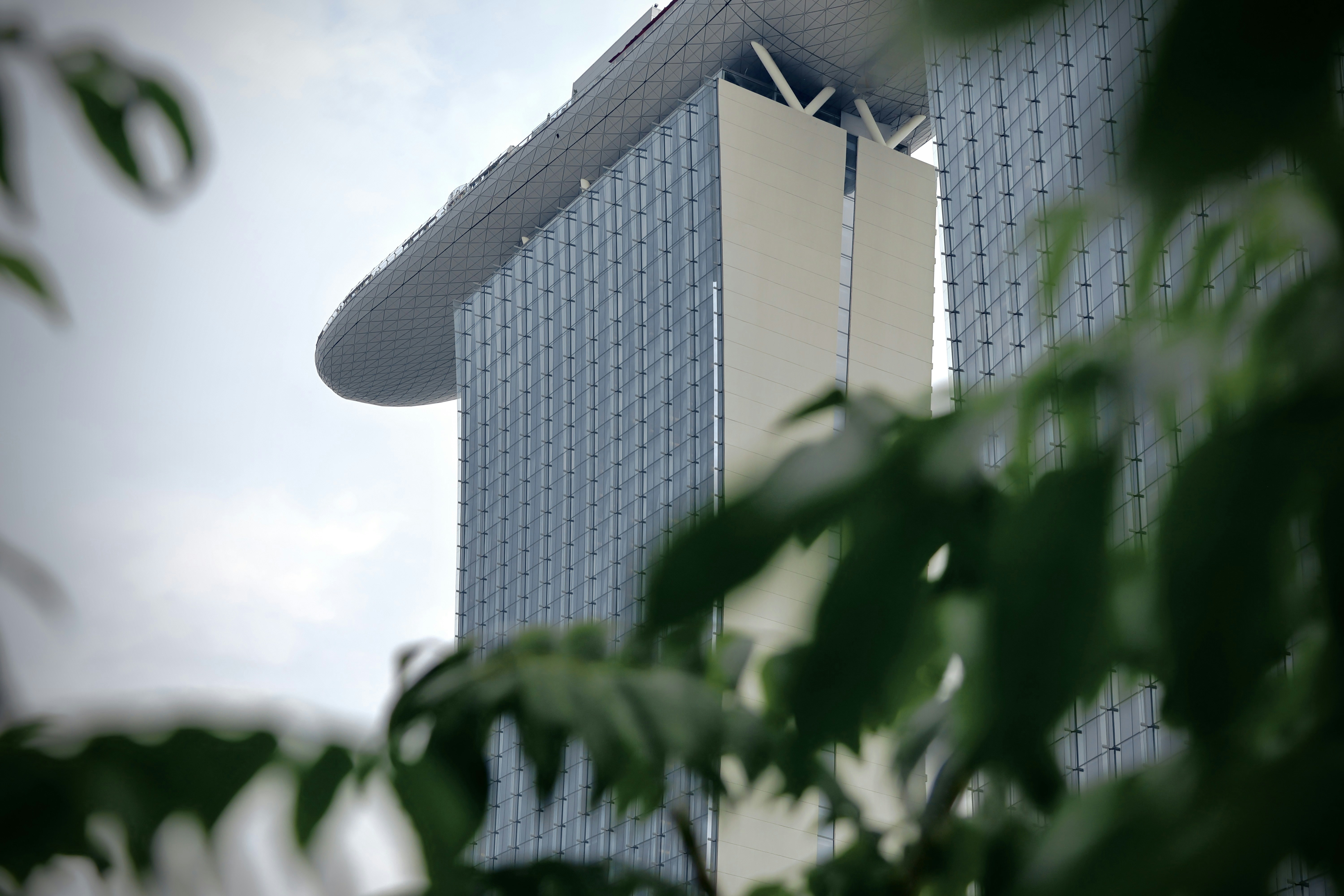 Framed Facade: Geometry Through Foliage