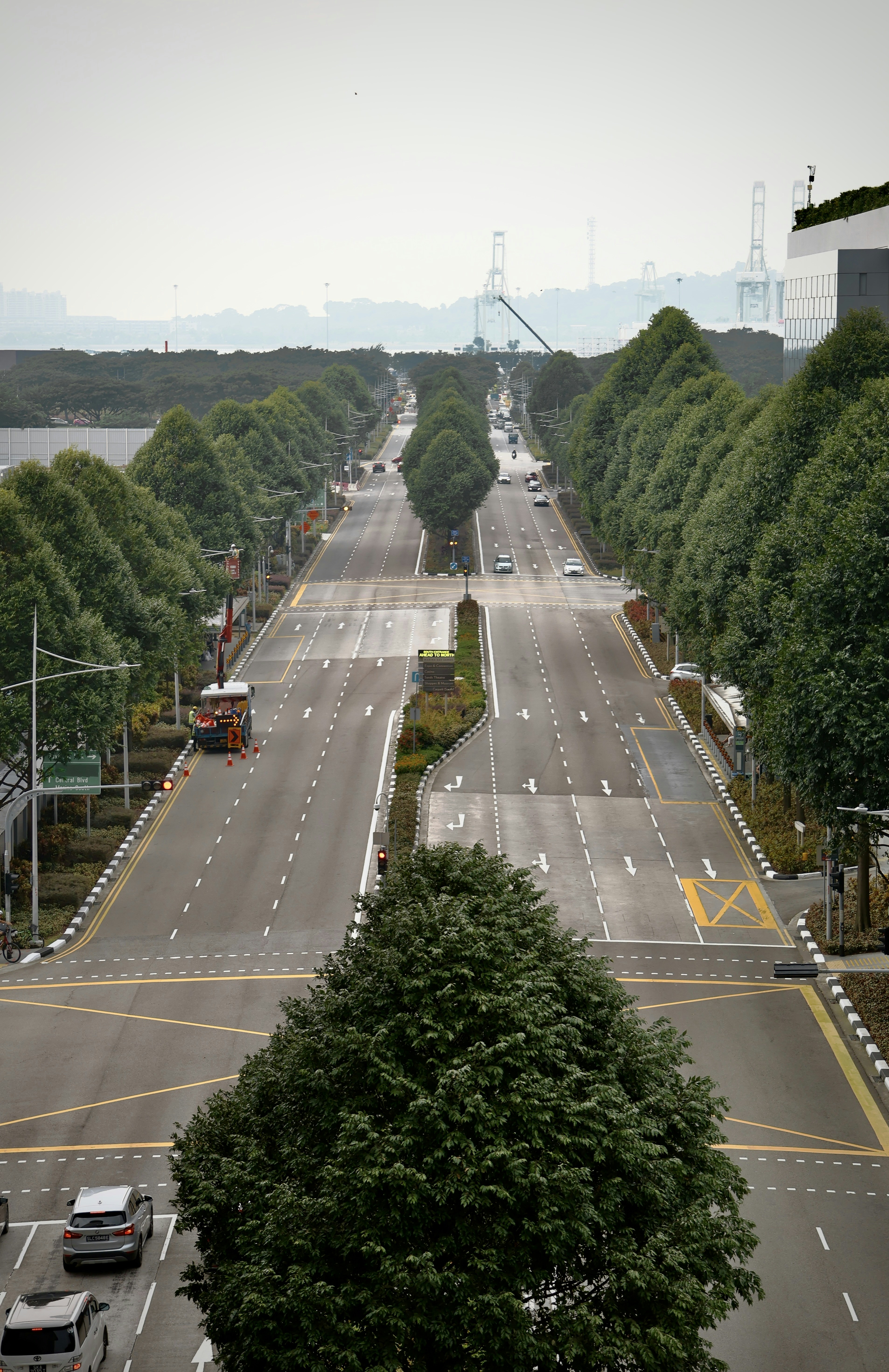Symmetrical Spine: Tree-Lined Avenue Reaching the Distant Horizon