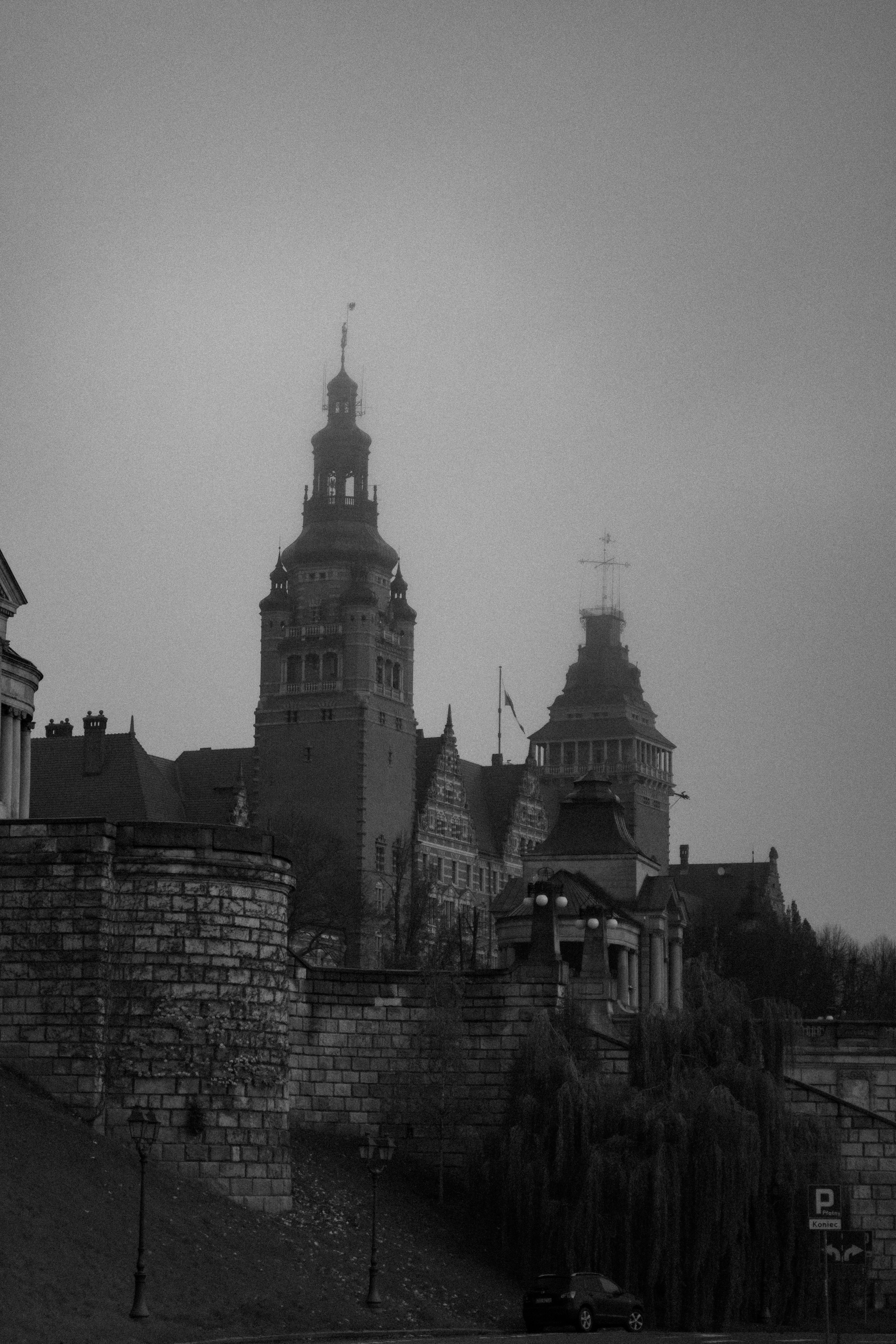 Historic castle towers shrouded in mist, revealing architectural grandeur amid a monochrome landscape.