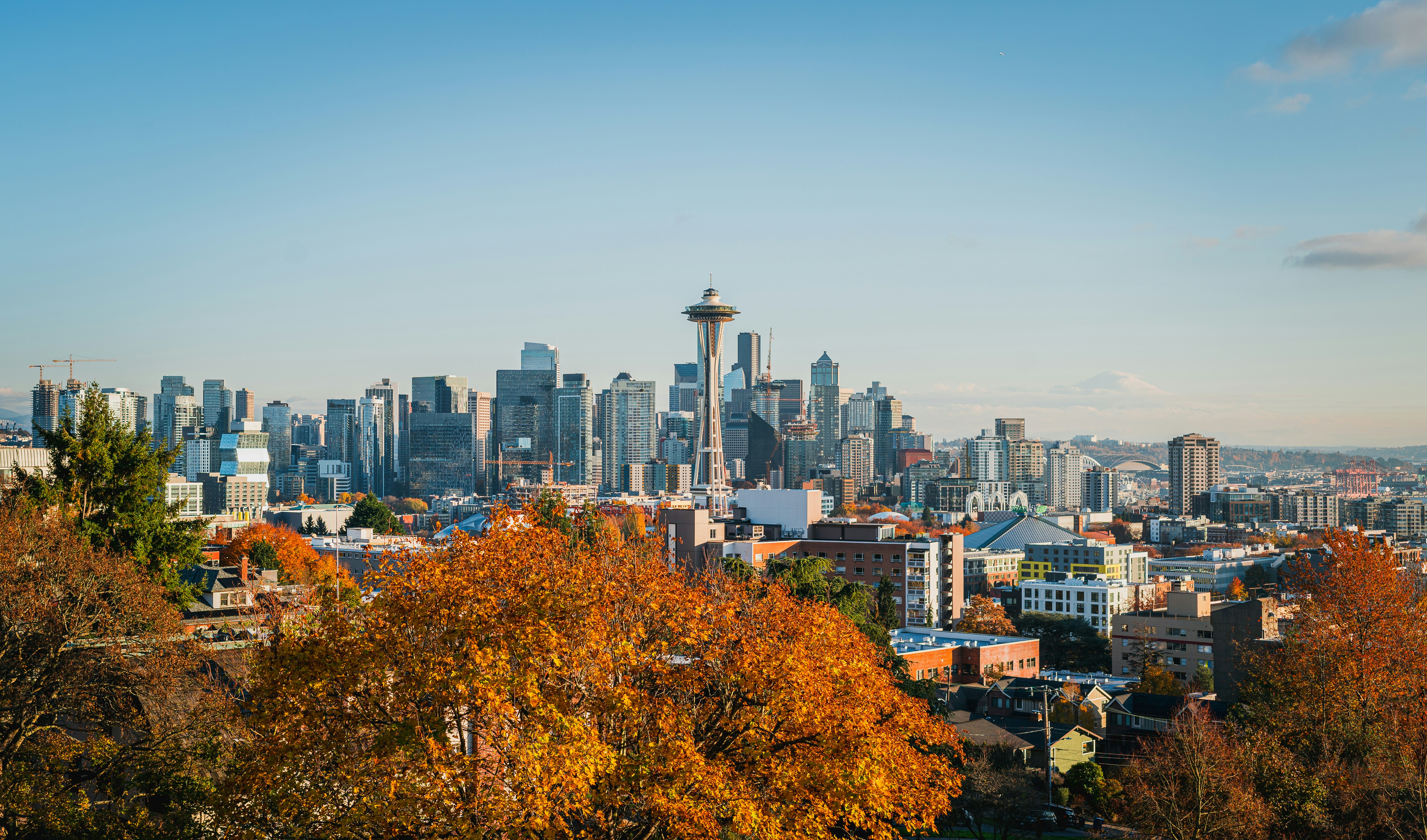 A view of the seattle skyline from the top of a hill photo – Free ...