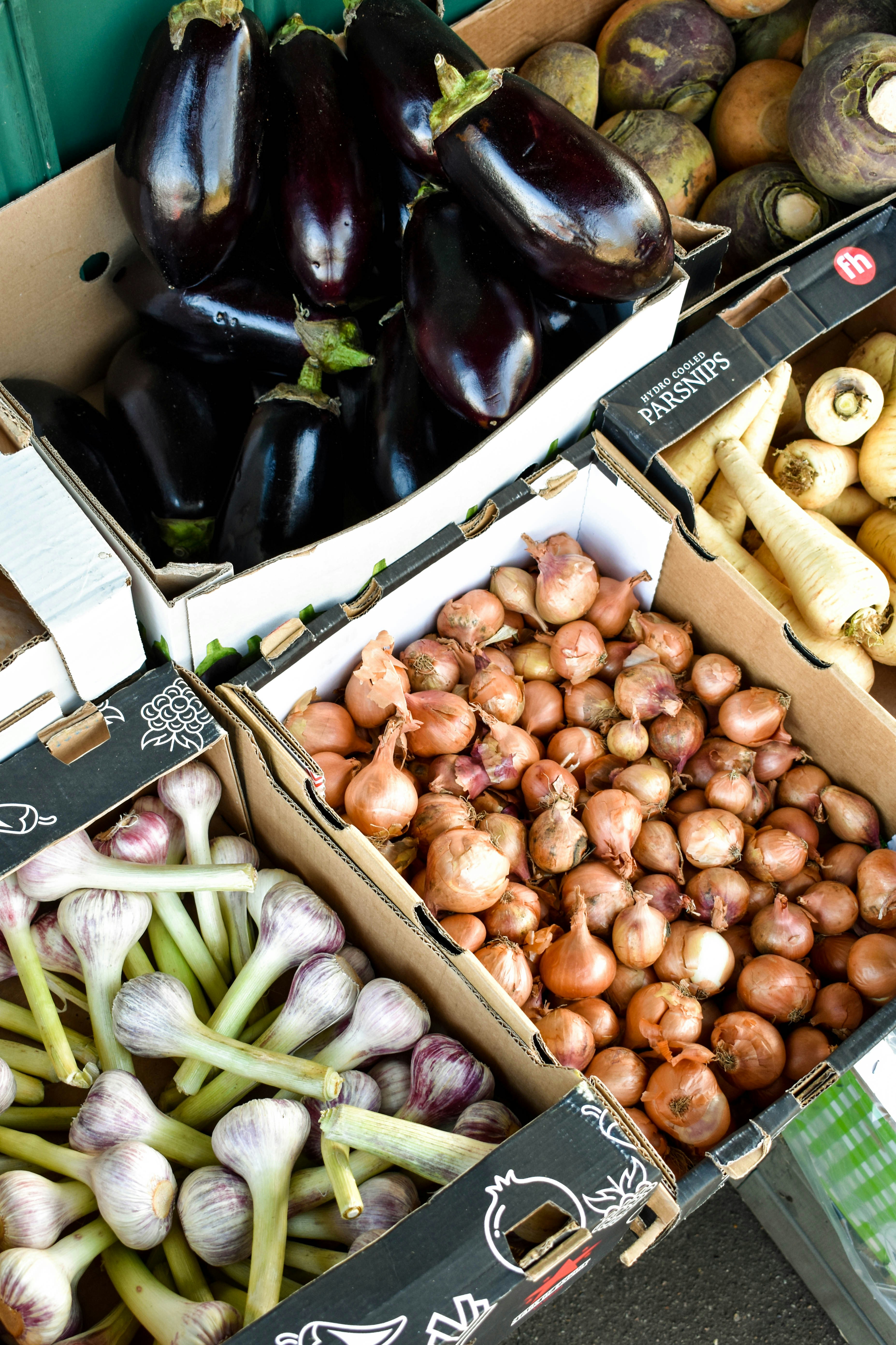A box of onions, eggplant, and other vegetables photo – Free Food Image ...