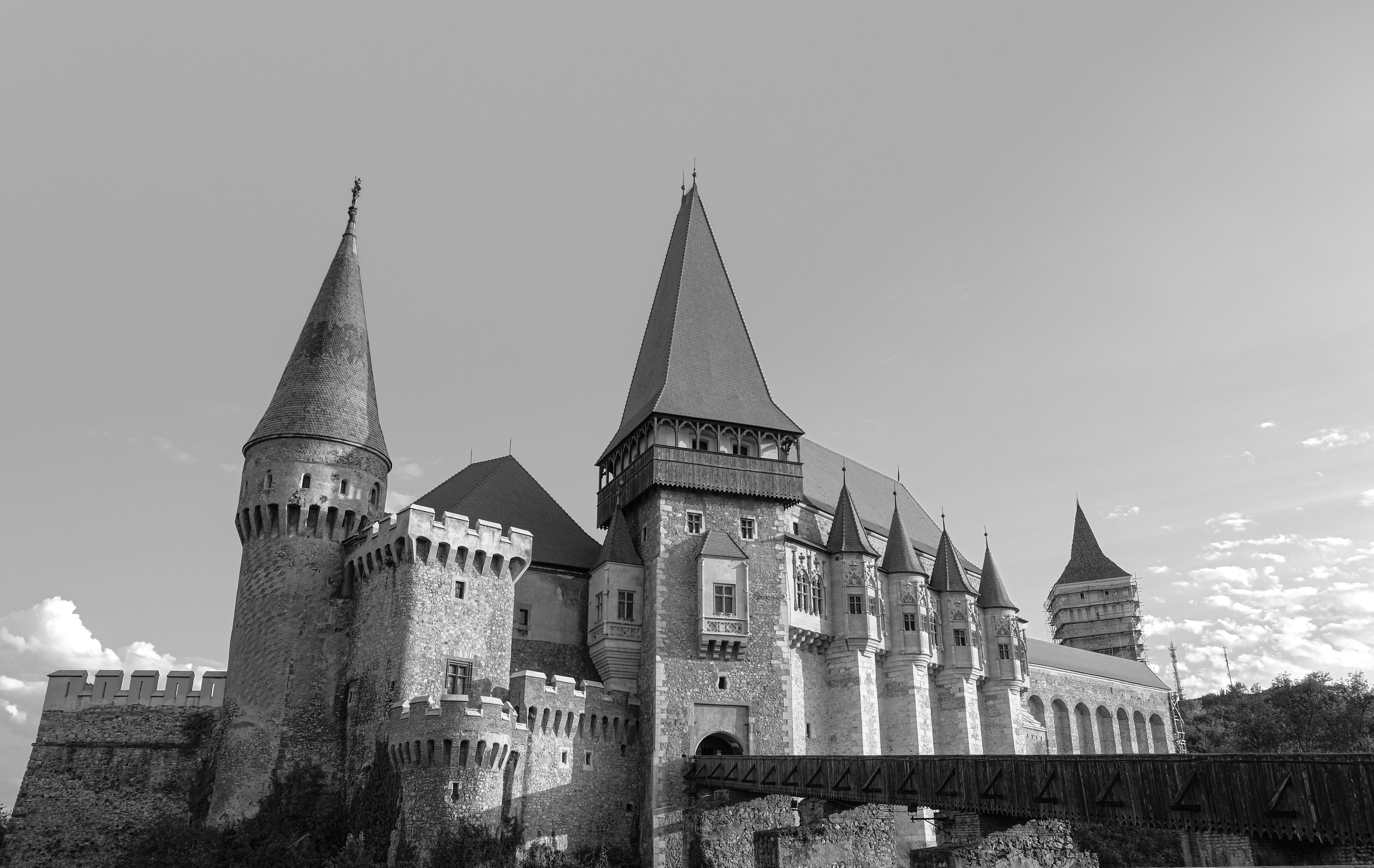 Gothic Majesty Under Monochrome Skies
