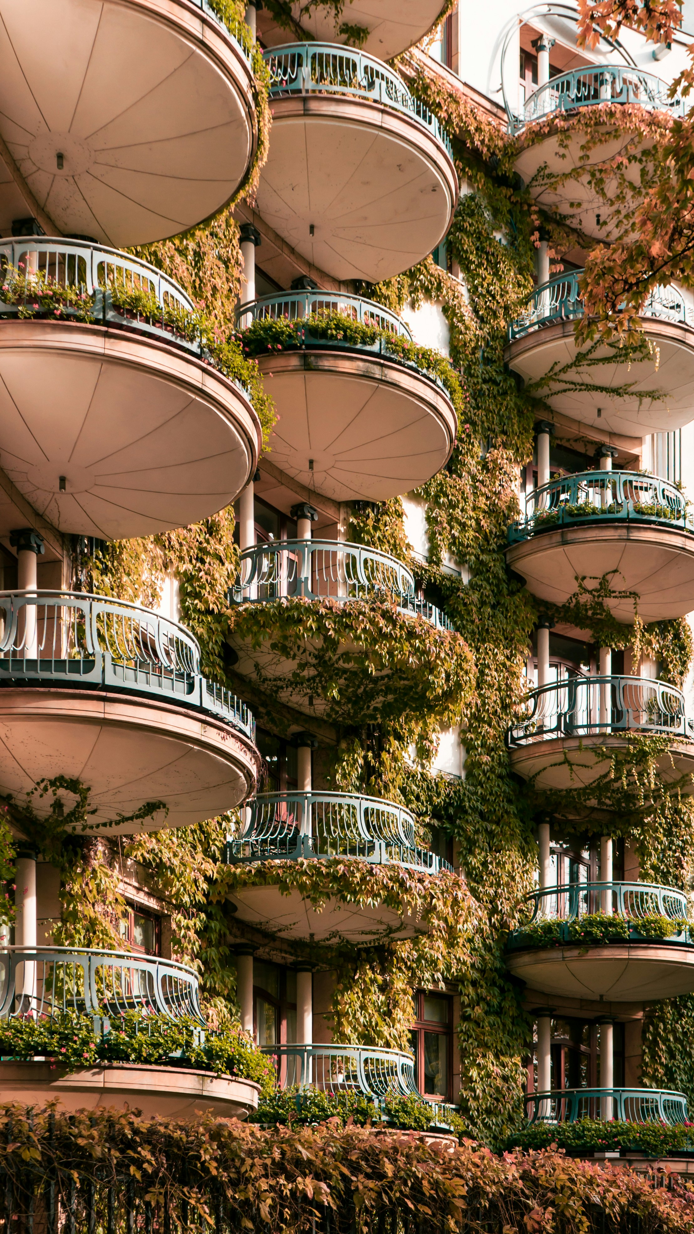 Ivy-Cloaked Circles: A Vertical Mosaic of Balconies