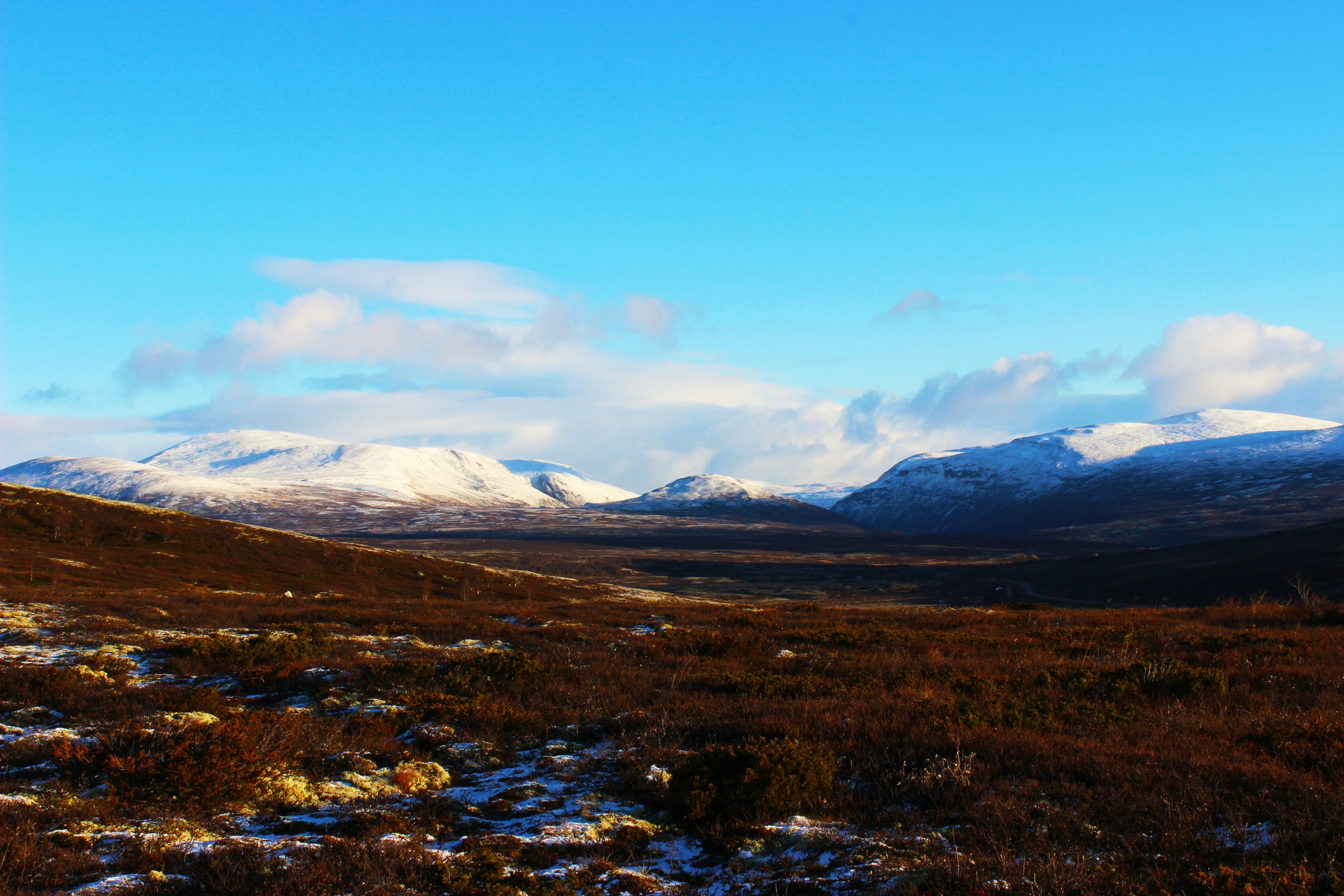 500+ Tundra Pictures [HD] | Download Free Images on Unsplash