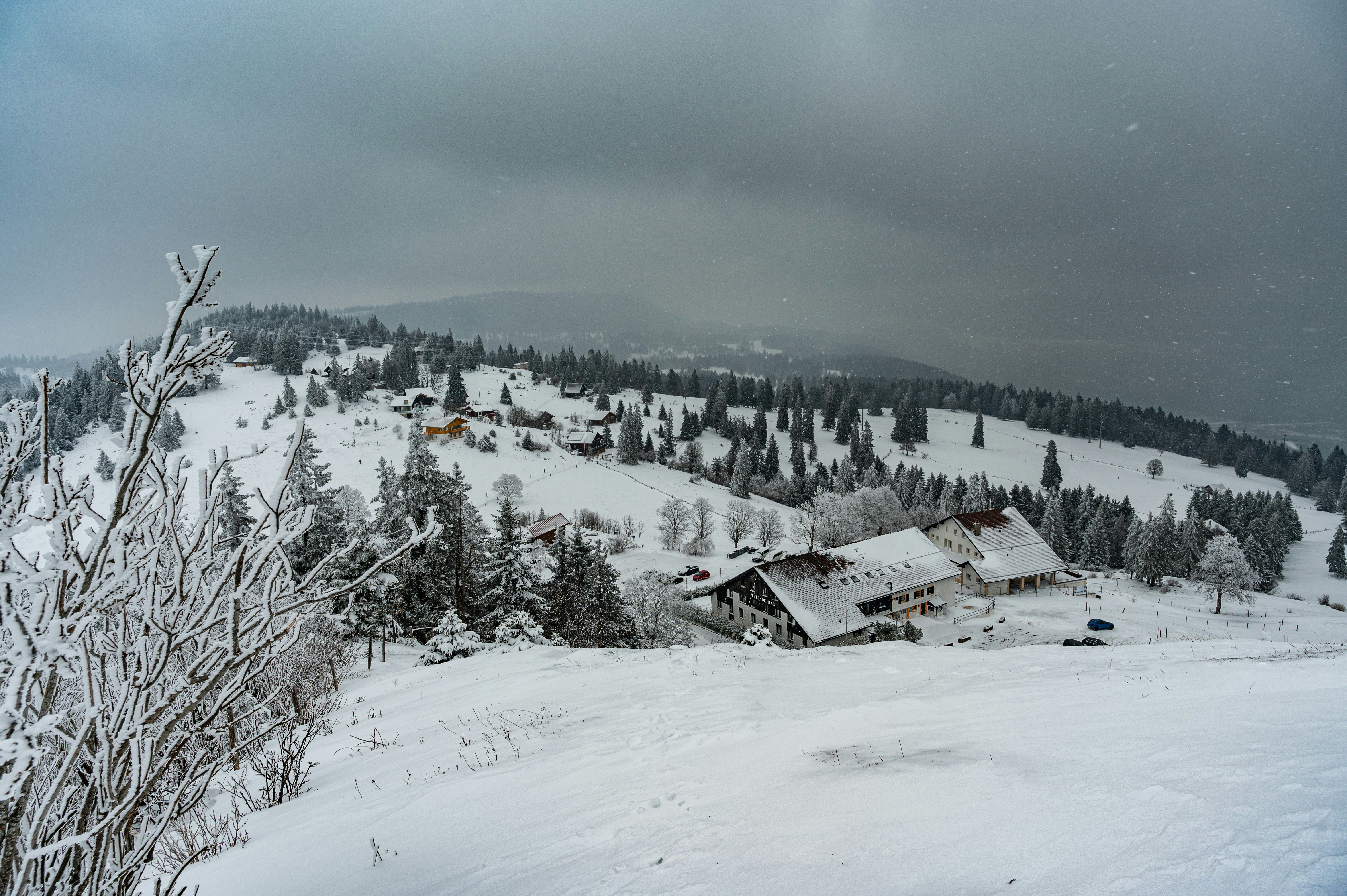 Snowbound Chalet Row on a Frosted Ridge