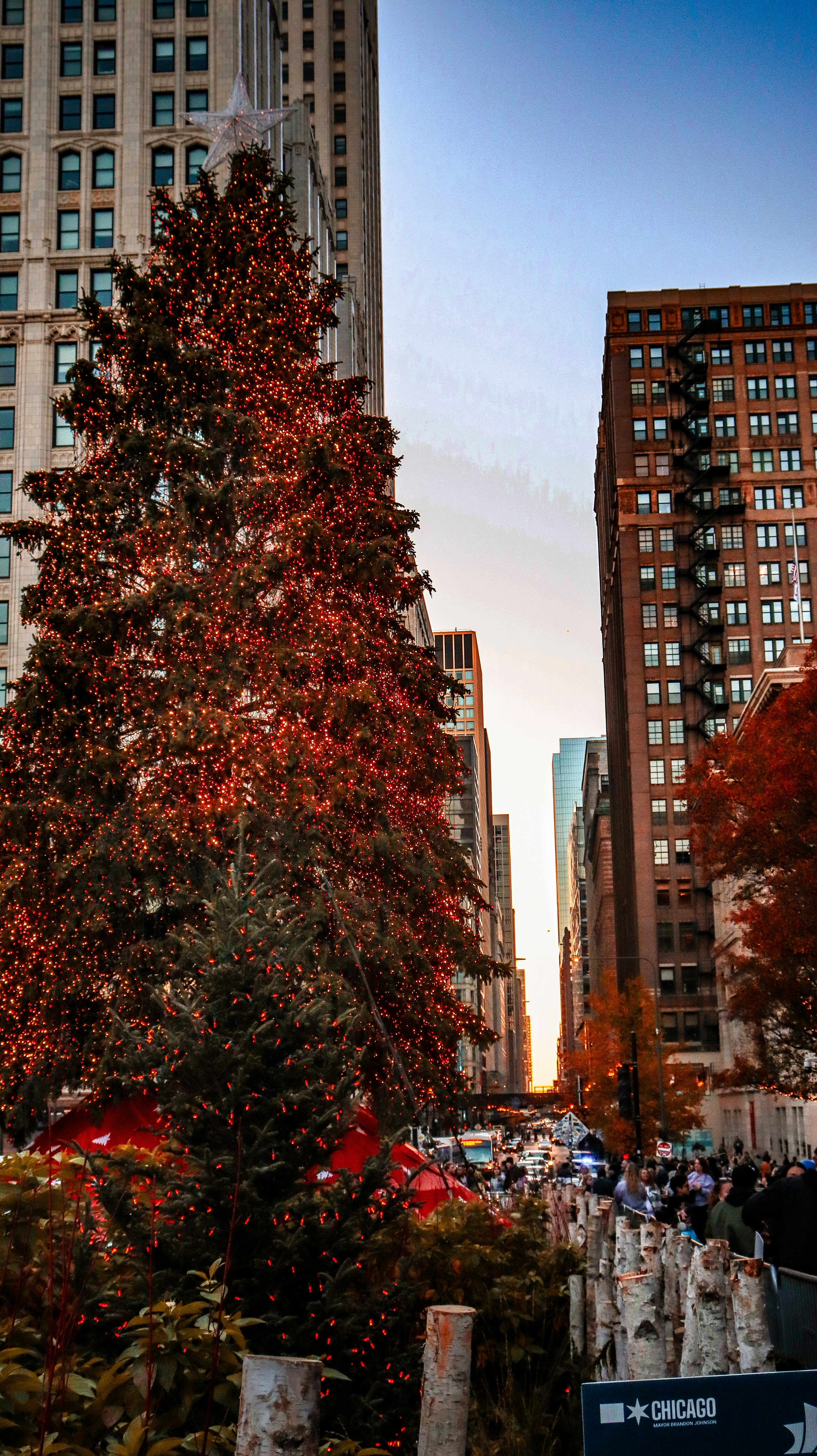 a large christmas tree in the middle of a city