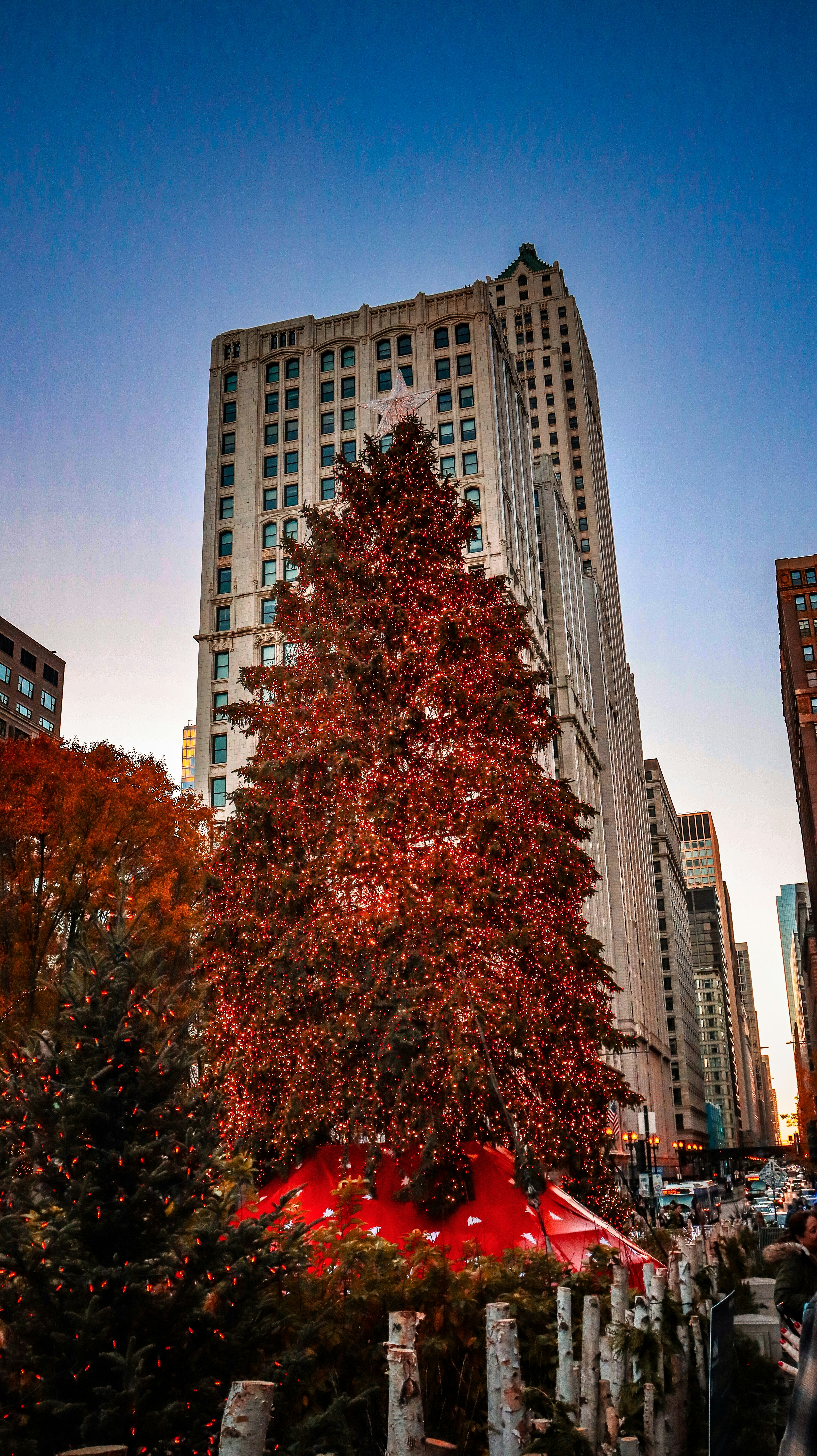 Tall urban Christmas tree lit with pink lights stands before a towering cityscape at dusk, creating a festive focal point in a busy street scene.