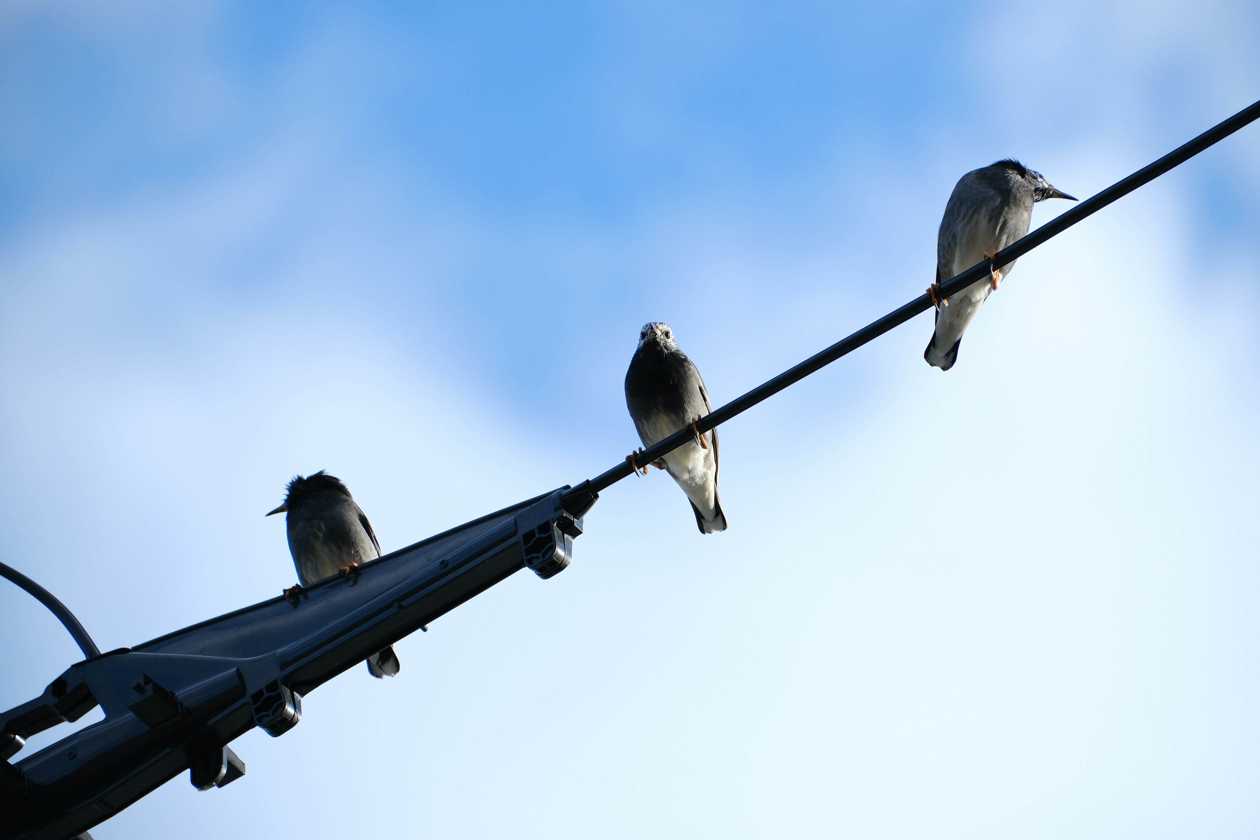 Photo by Seiya Maeda with Fujifilm X-H2S