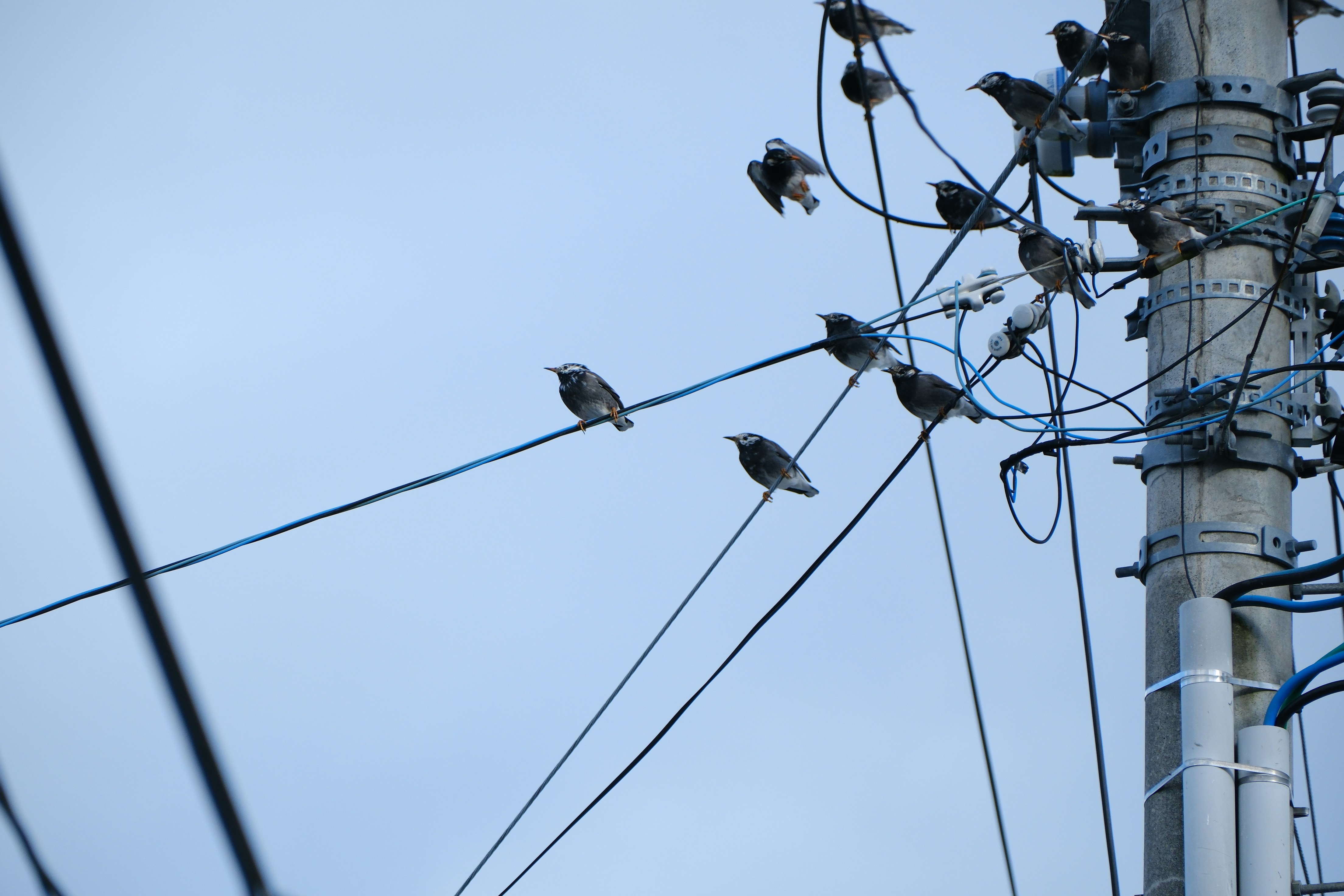 Photo by Seiya Maeda with Fujifilm X-H2S