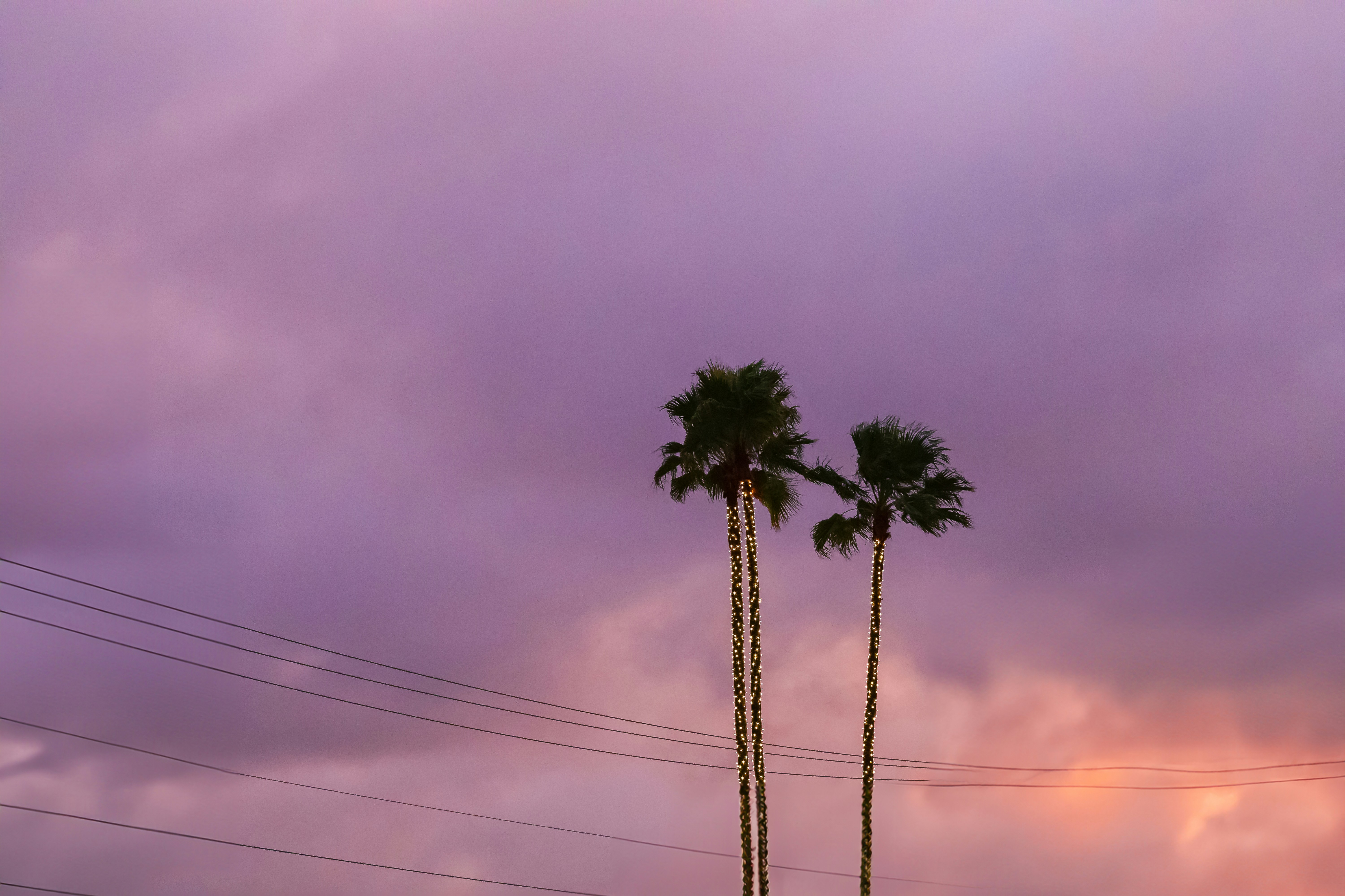 Twin Palms in Lavender Sky: Sunset Silhouette Over Subtle Power Lines
