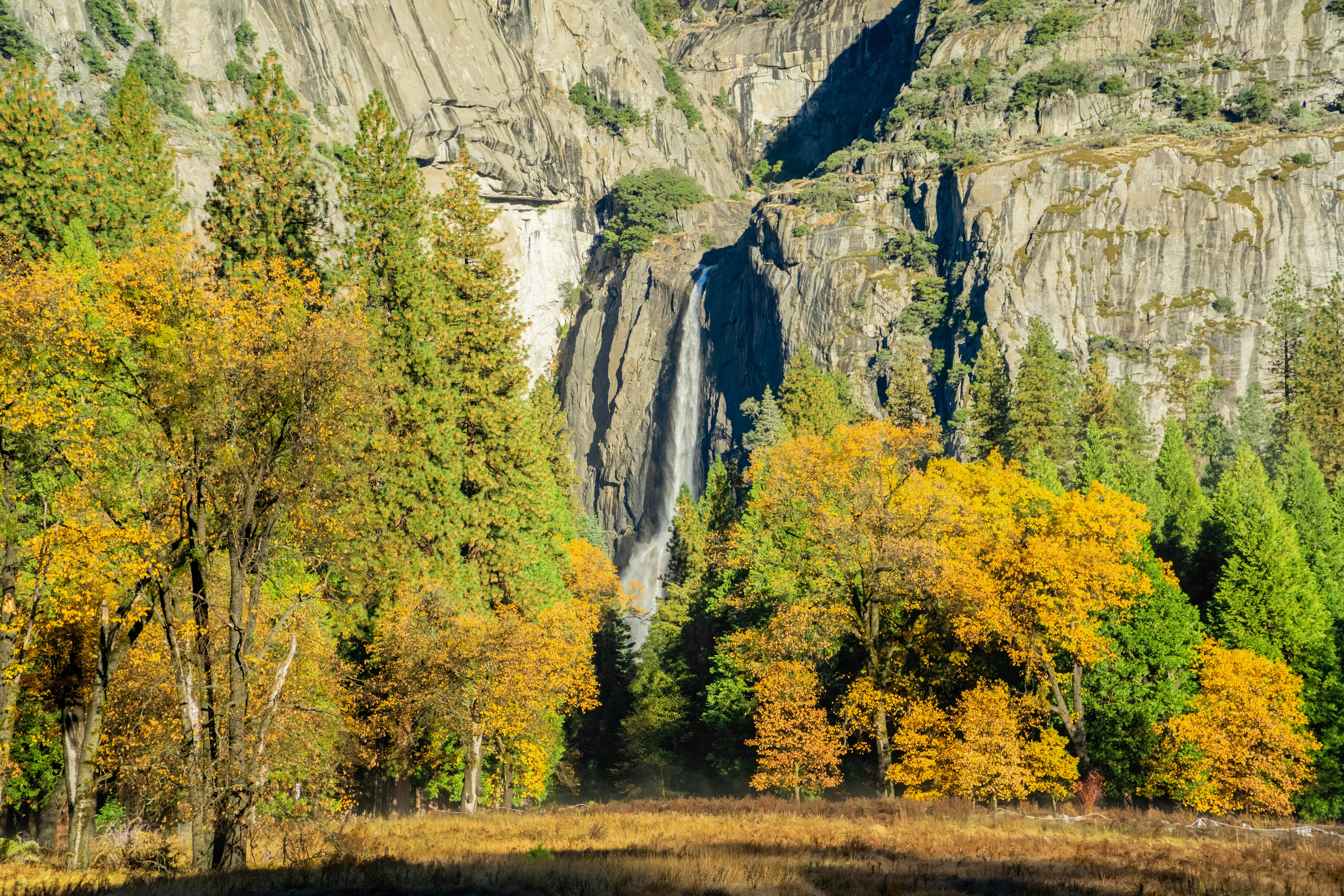 Autumn Cliffscape: Golden Trees Framing a Hidden Waterfall