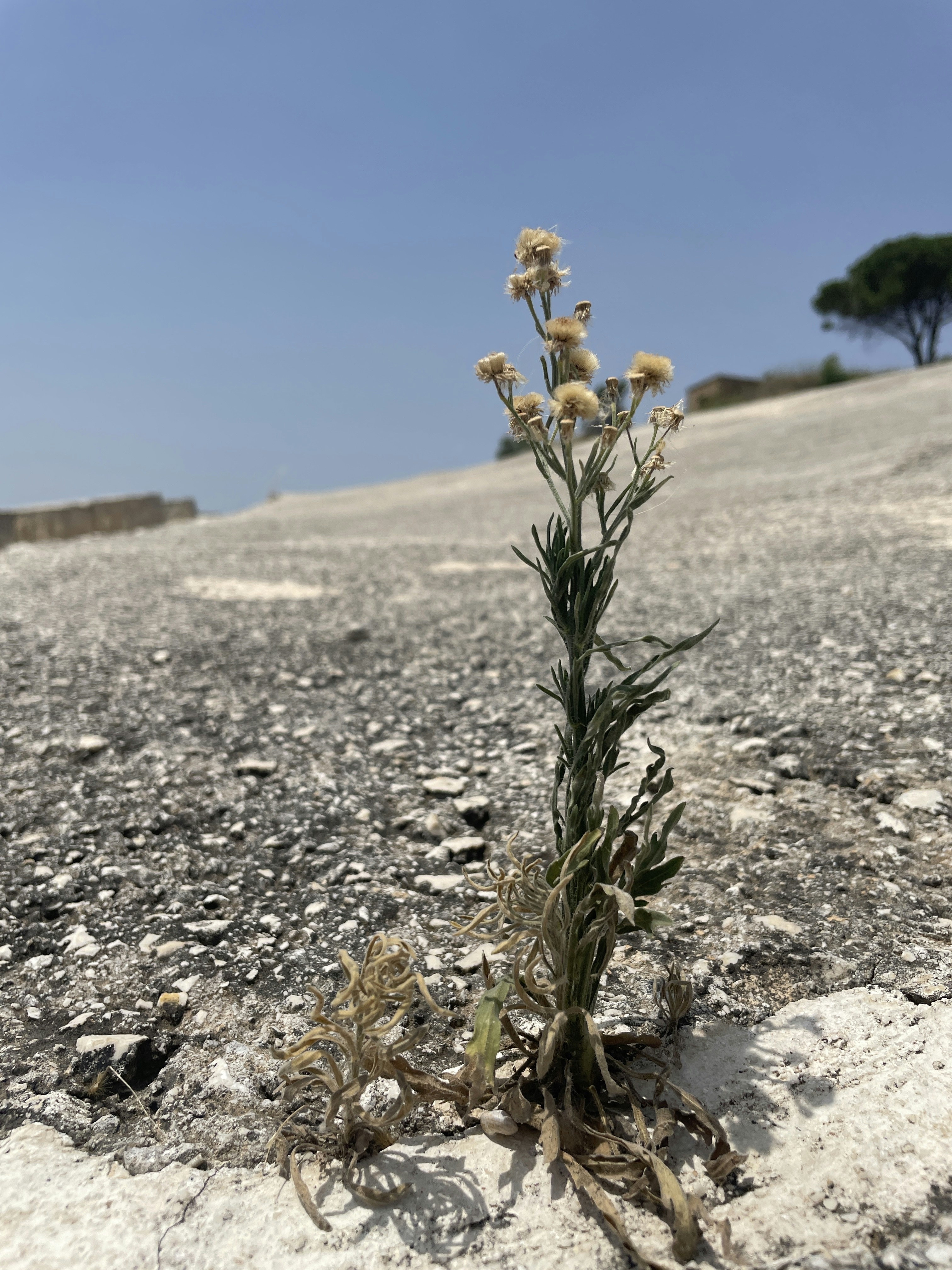 davide M (@kerkesilmago) | Unsplashフォトコミュニティ