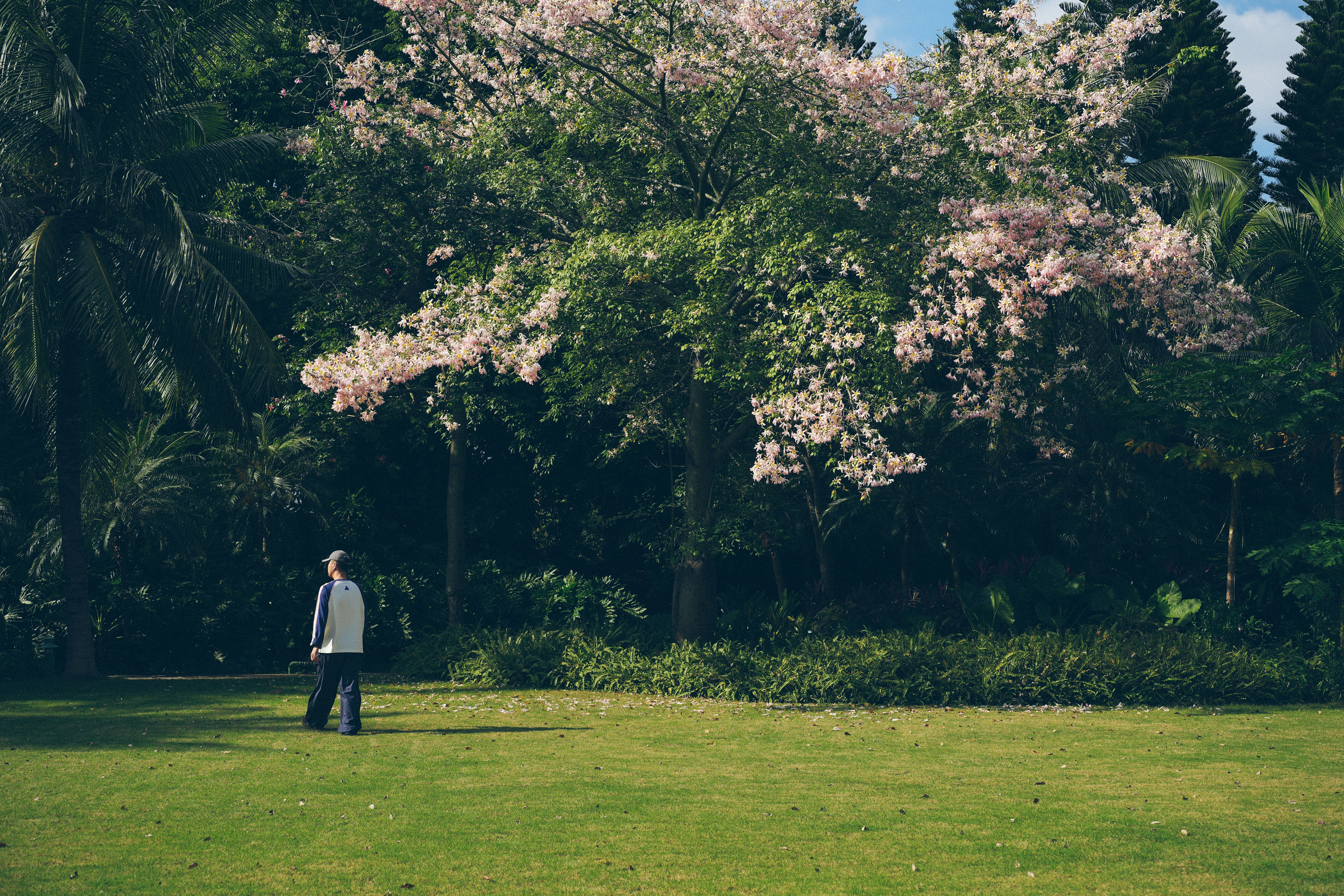 Photo by Charlies X with Sony Alpha 7 IV