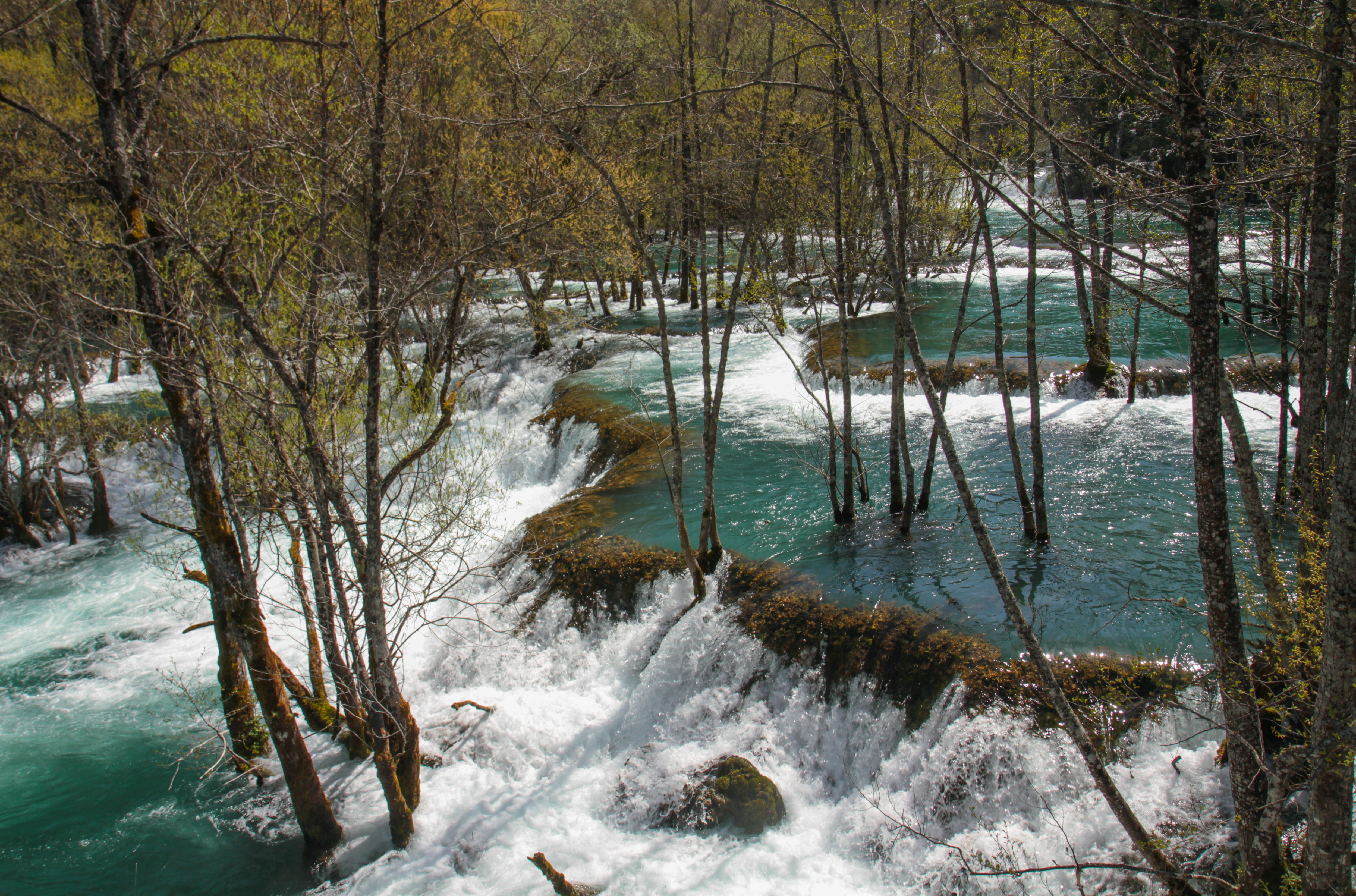 Water flowing over tiered cascades surrounded by vibrant trees in Plitvice Lakes National Park.