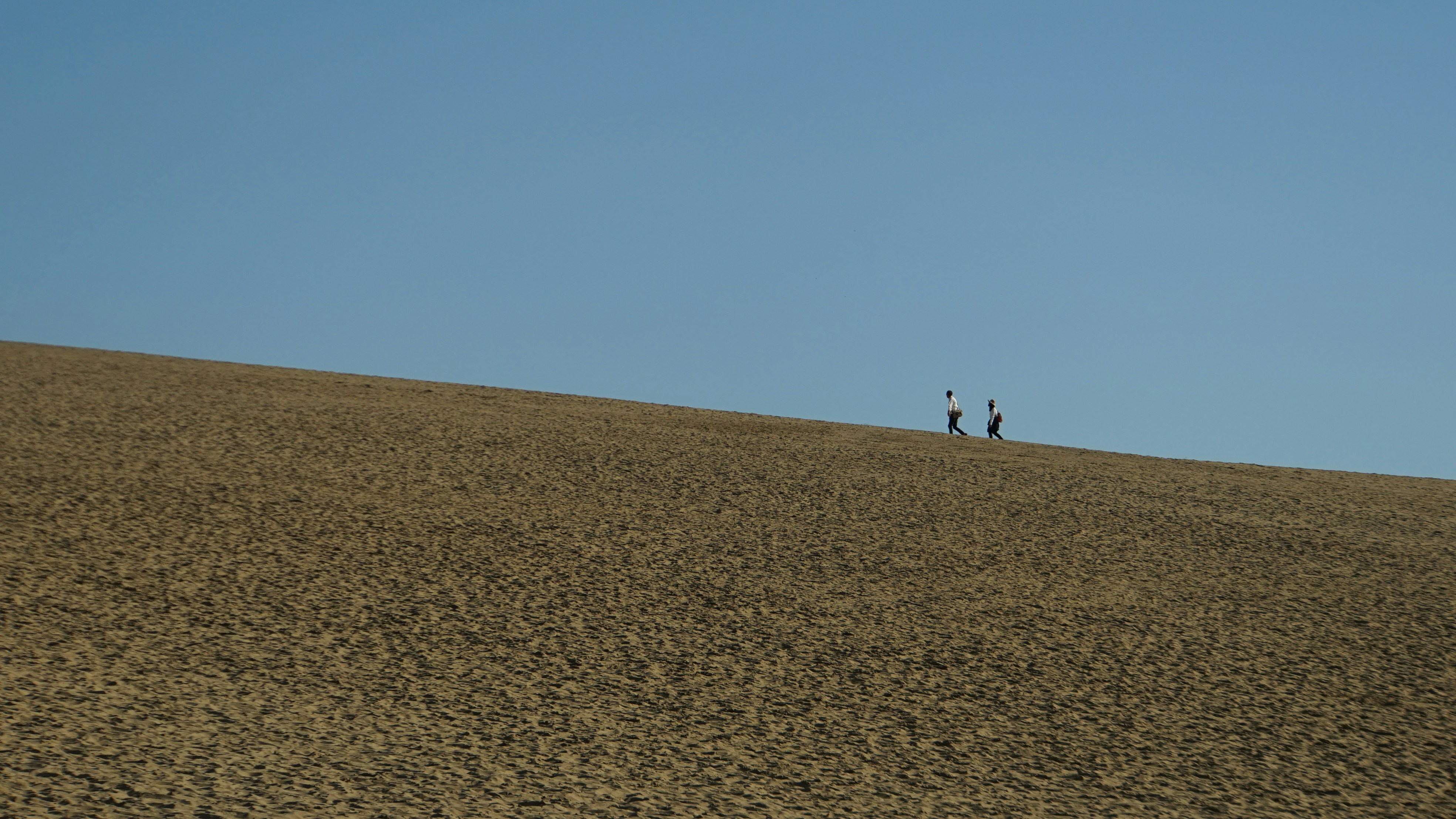 Two silhouettes traverse a sunlit dunescape under a clear sky