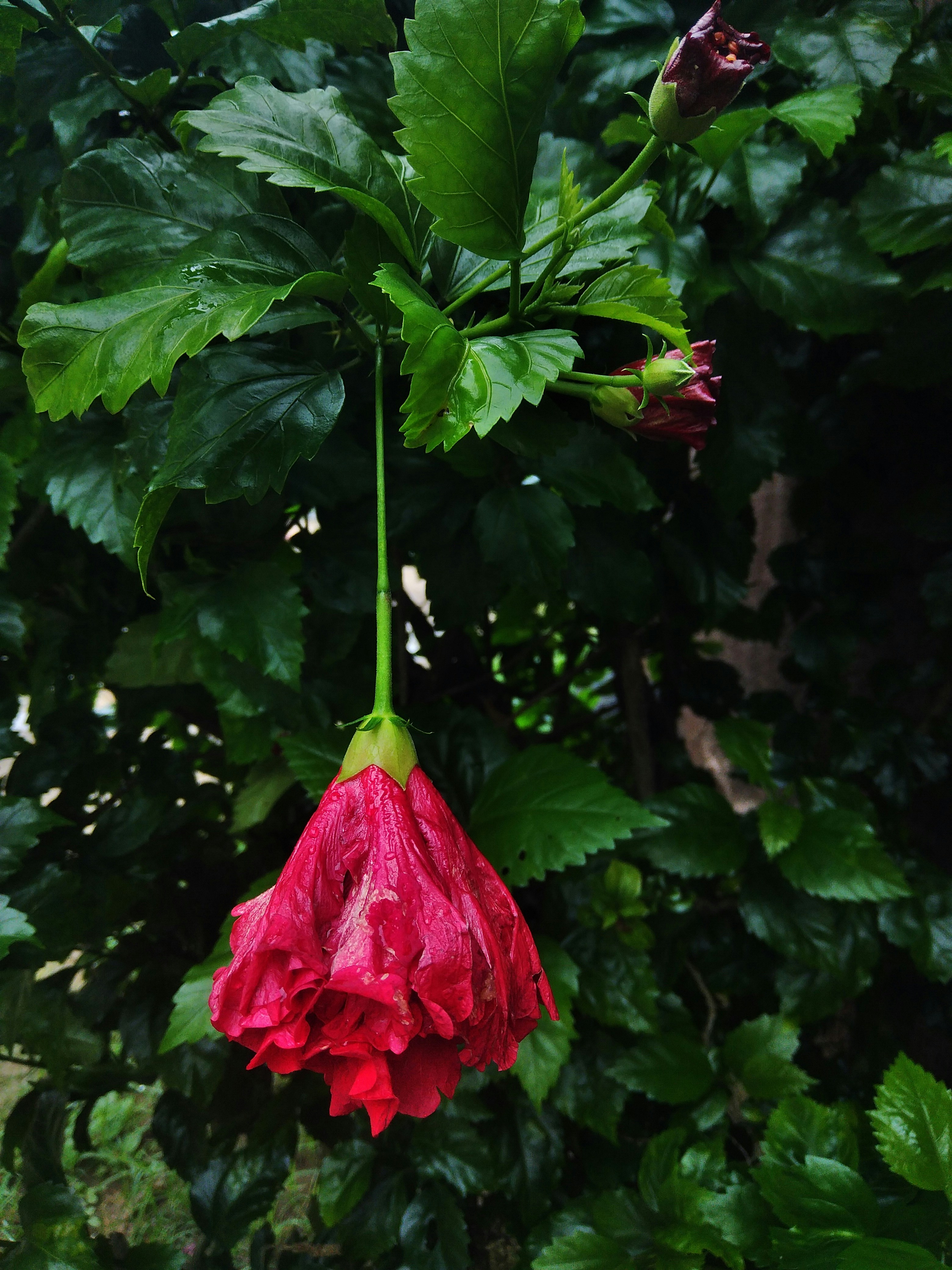 Photo by Bernadette Obot with Nokia 3.2