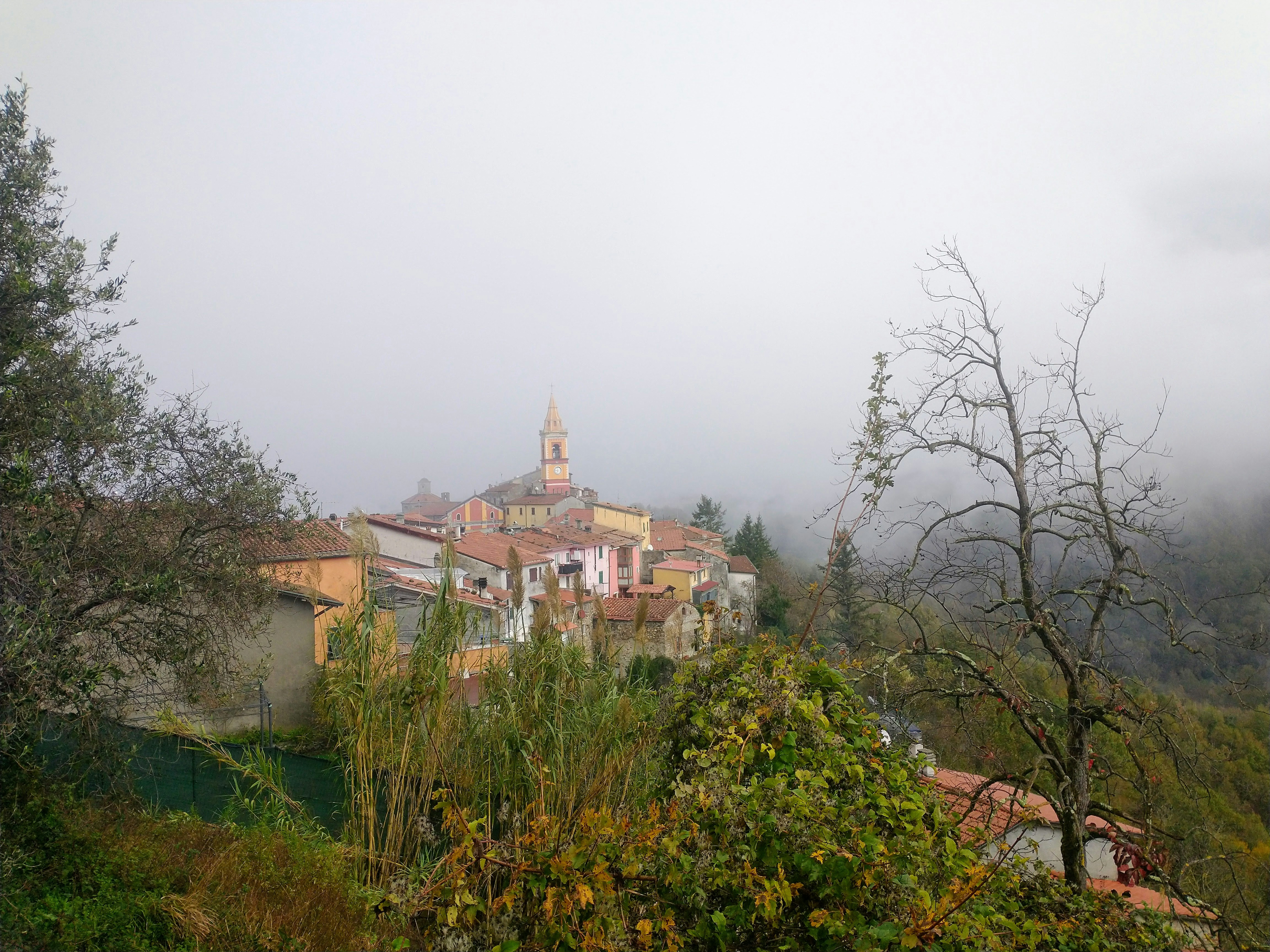 Village nestled in fog with trees and rooftops partially visible.