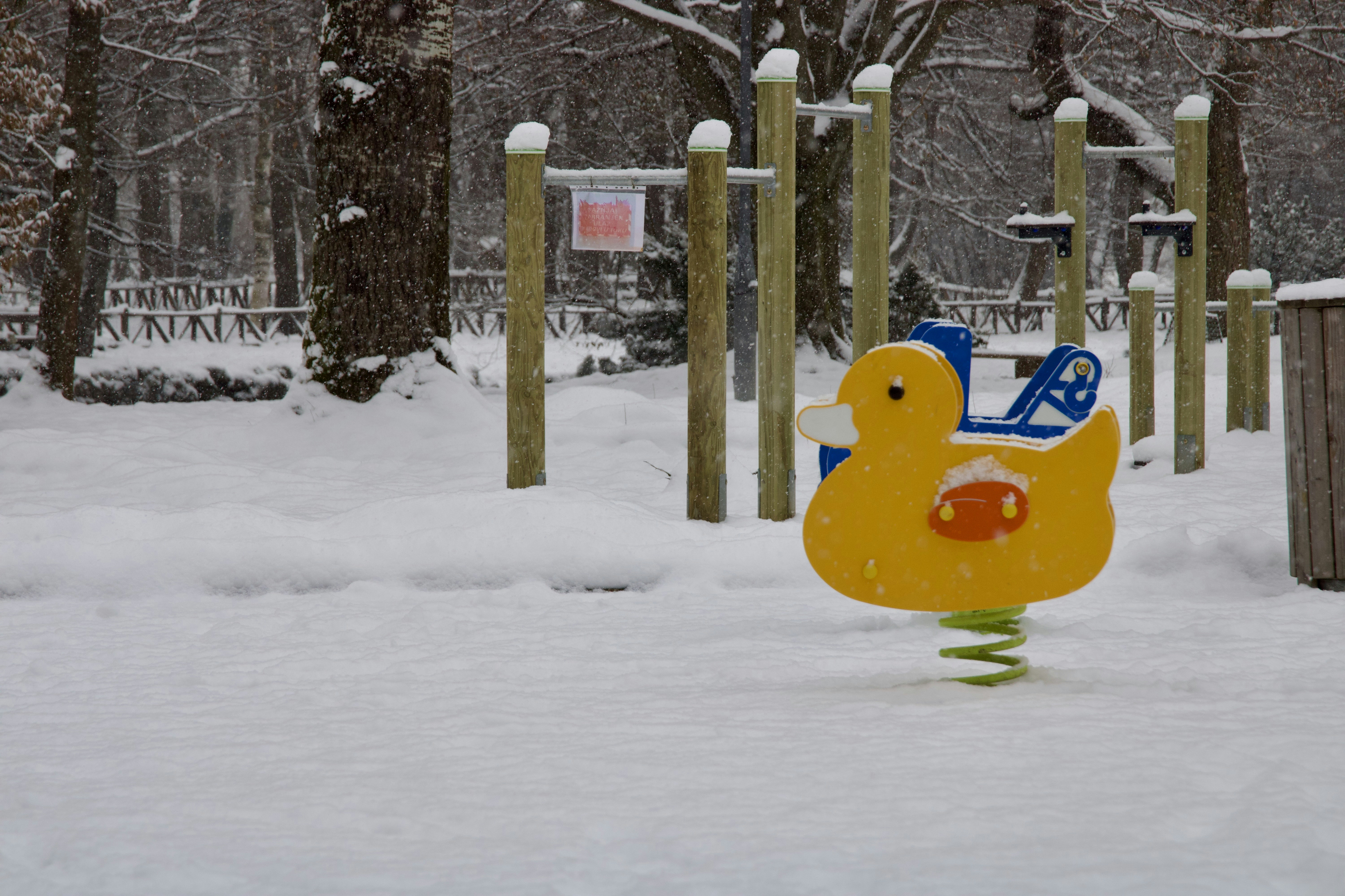 Snowbound Duck: A Neon Playground Sentinel in Winter