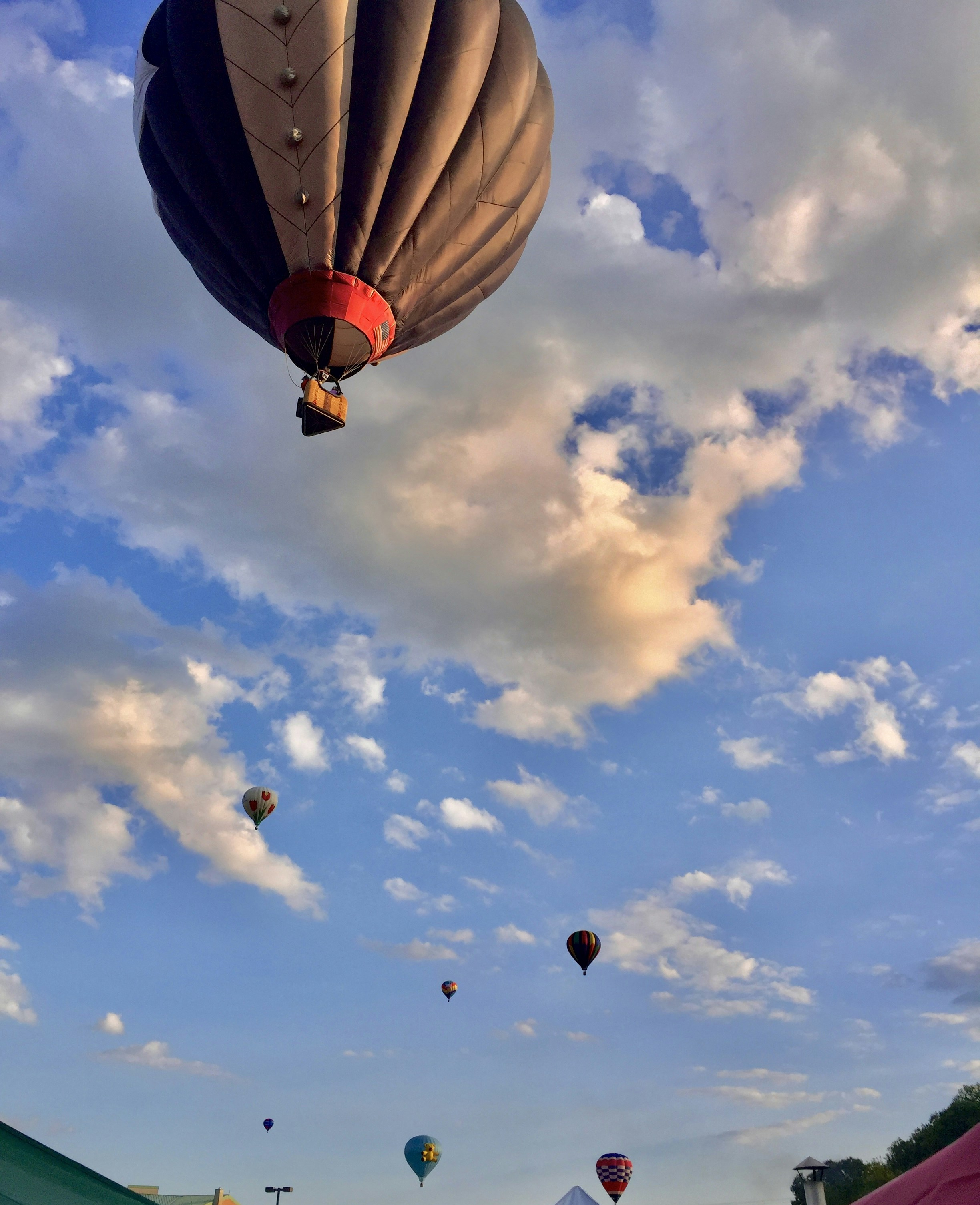 Elevated Sky Parade: Balloons Drifting Against a Painted Blue