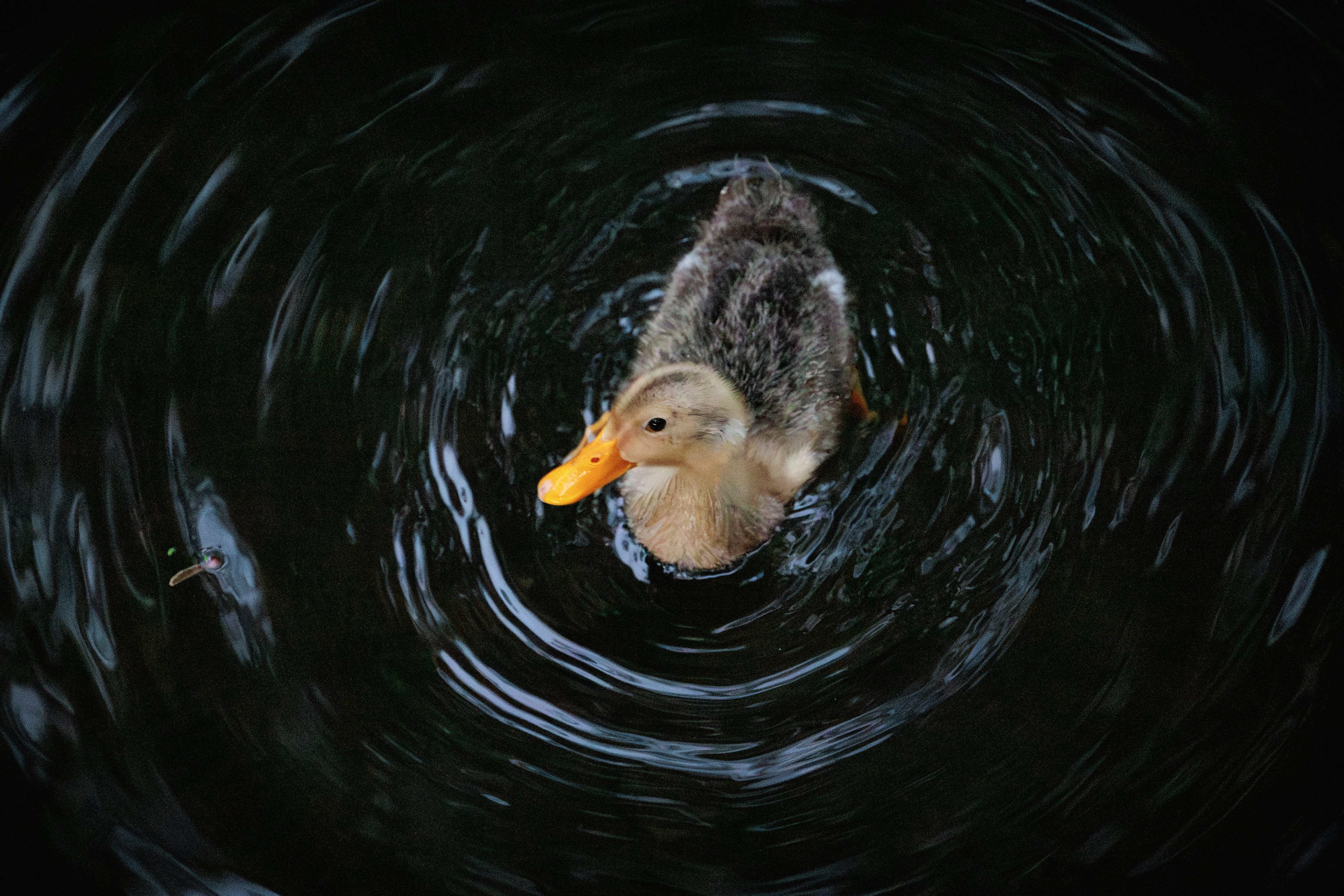 Photo by realfish with Canon EOS R6