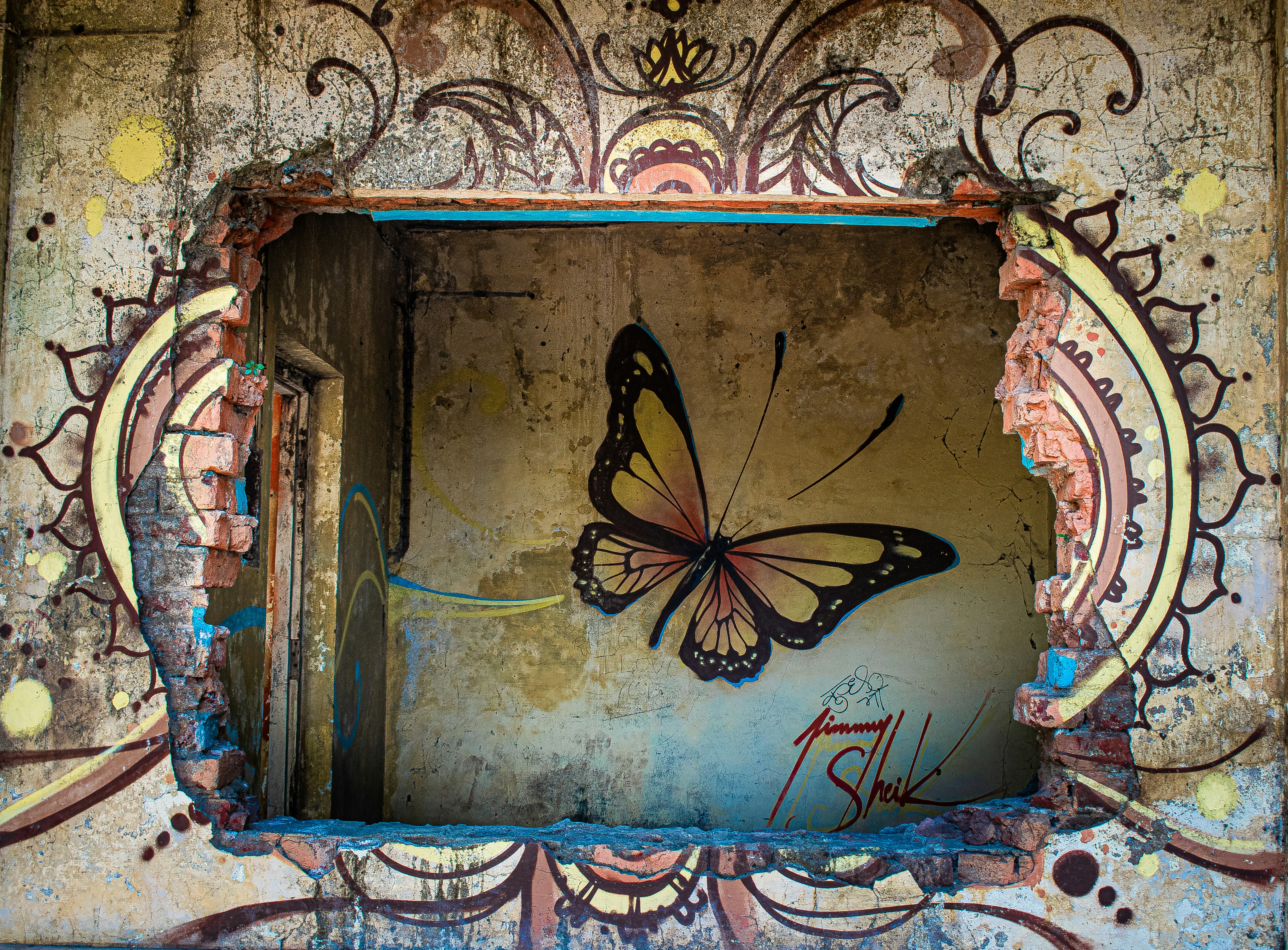 Monarch in a Cracked Studio: A Graffiti Window to a Painted Room