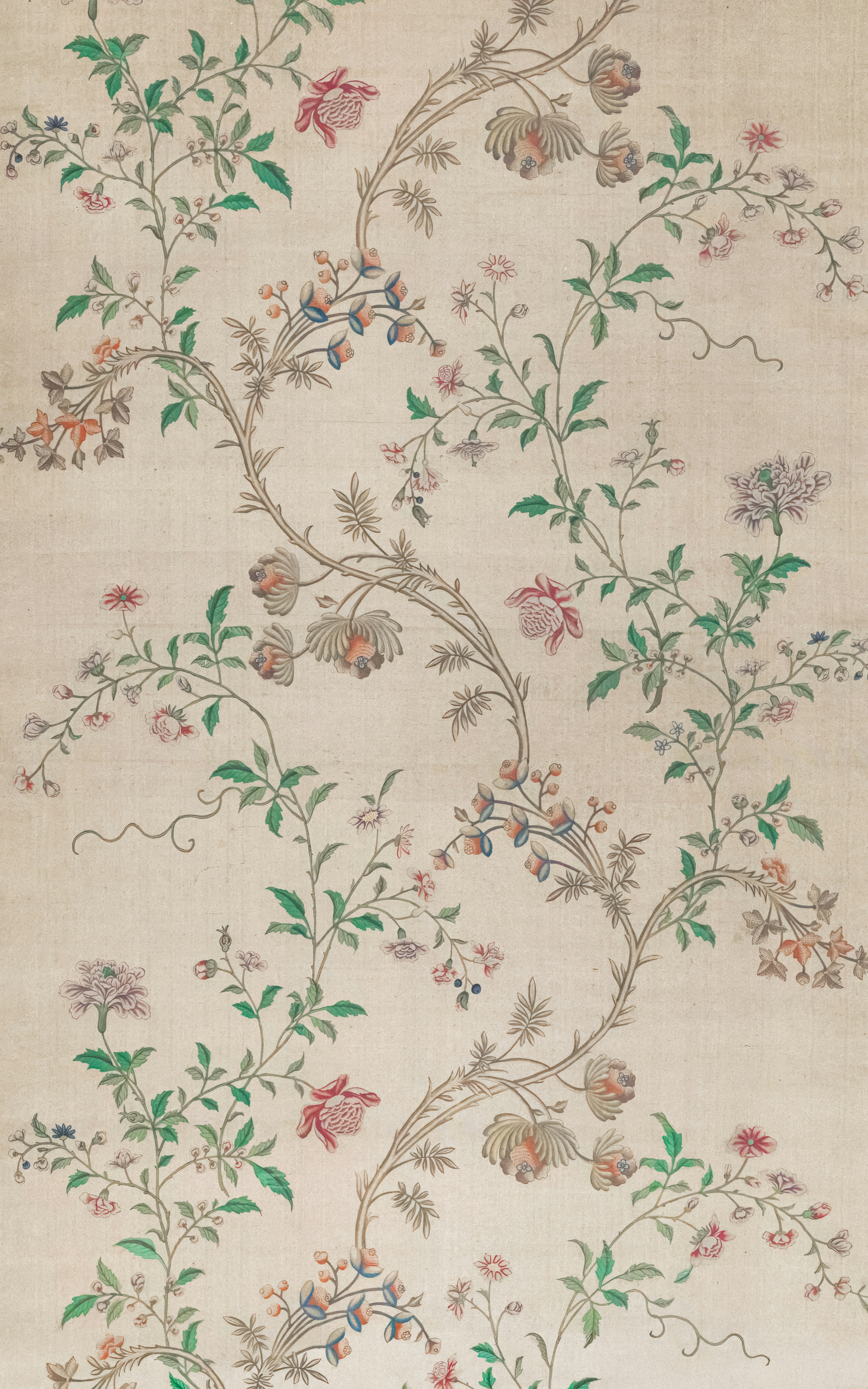 A wallpaper with a floral design on it photo – Free Pattern Image on ...
