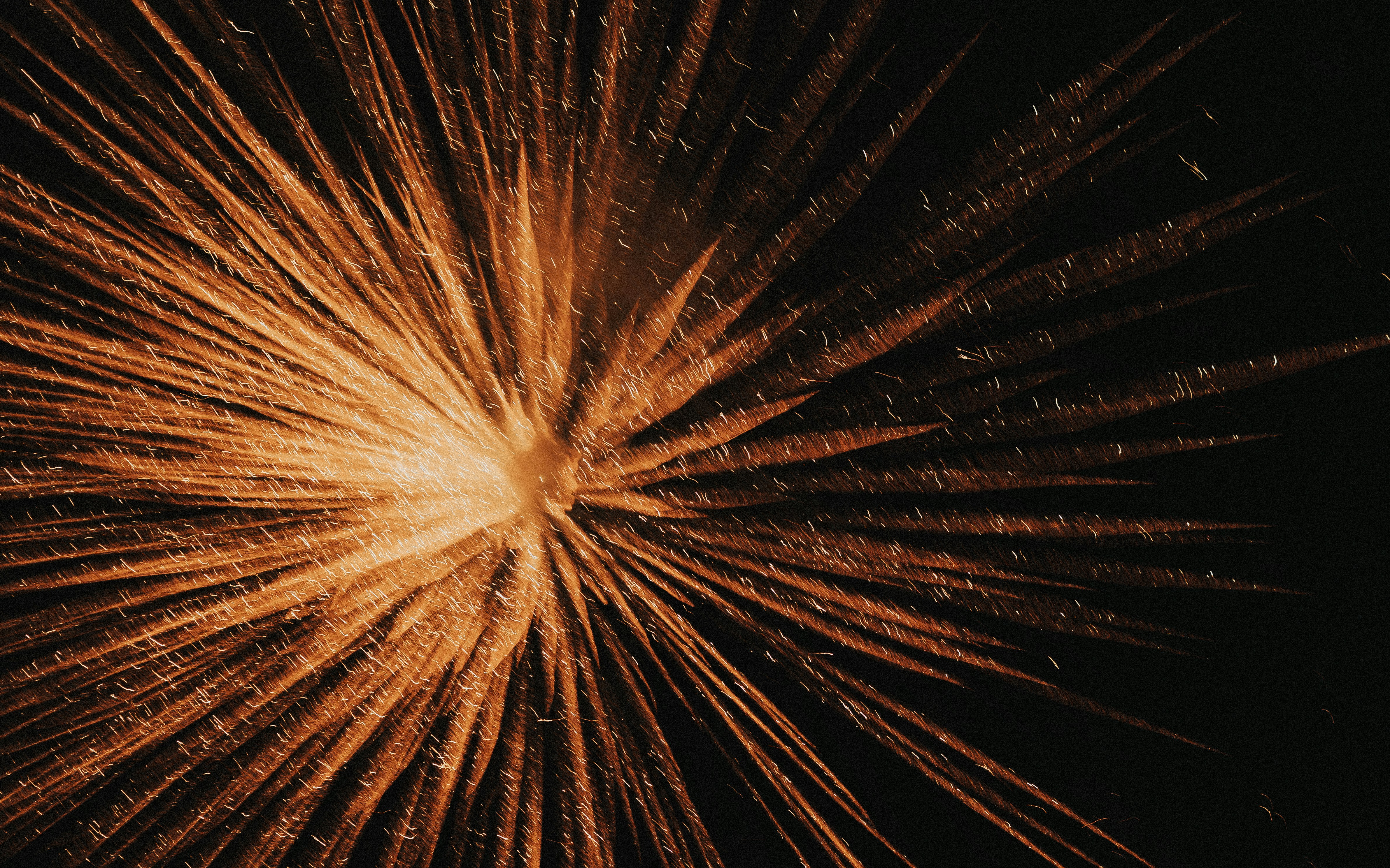 A close up of a firework in the night sky photo – Free India Image on ...