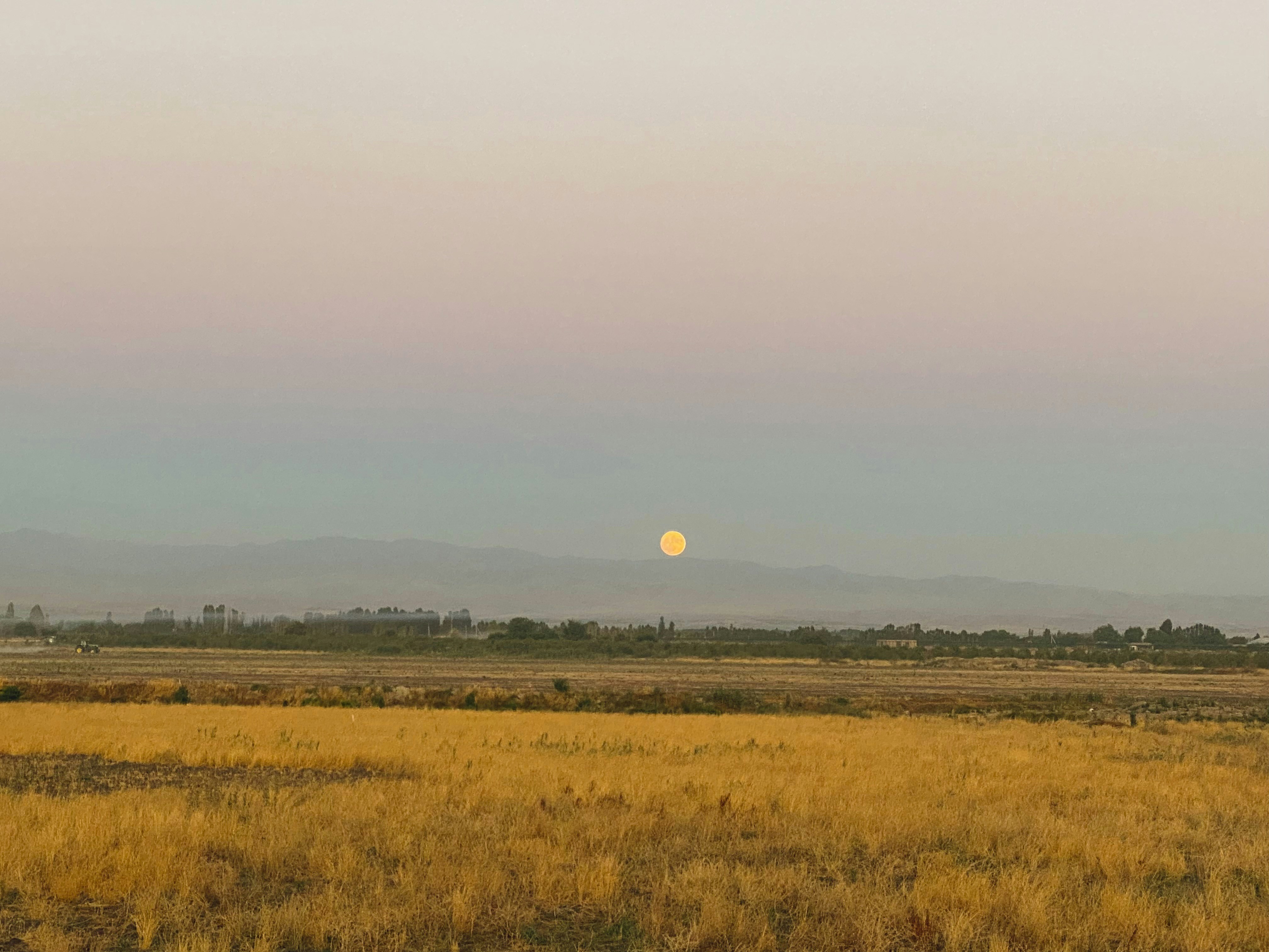 Moonrise over a Golden Prairie at Dusk