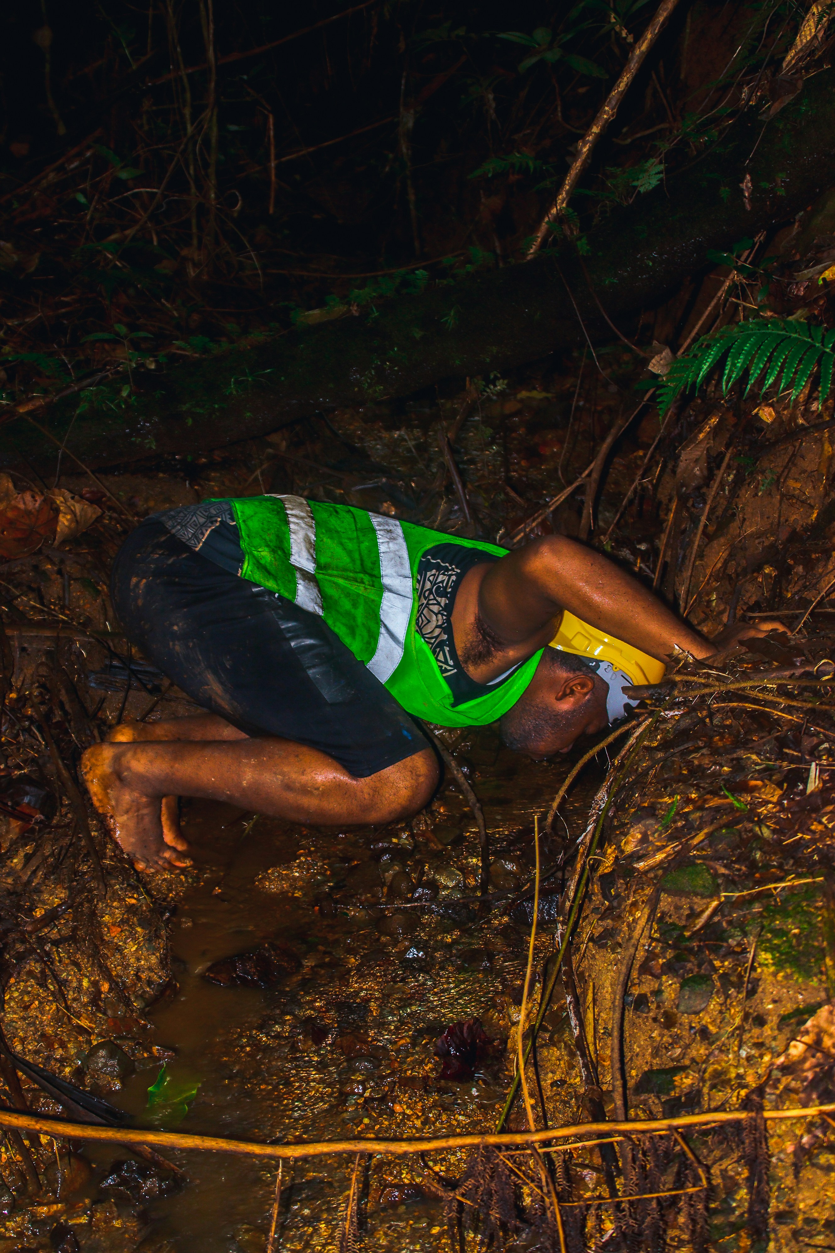 Descent into the Brush: Night Expedition in a Narrow Stream