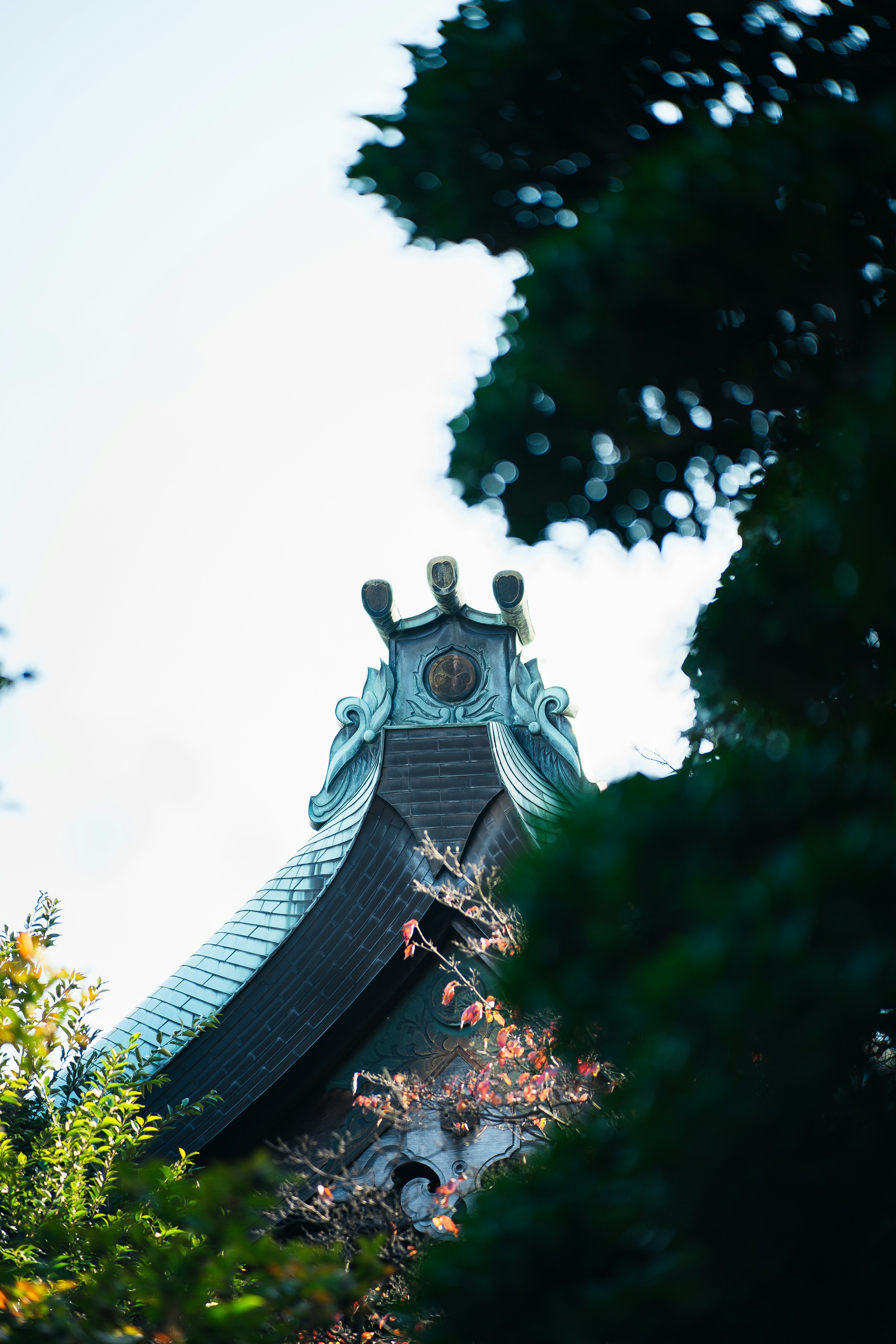 Framed Rooftop Crest: A Temple Roof Emerges Through Garden Fronds