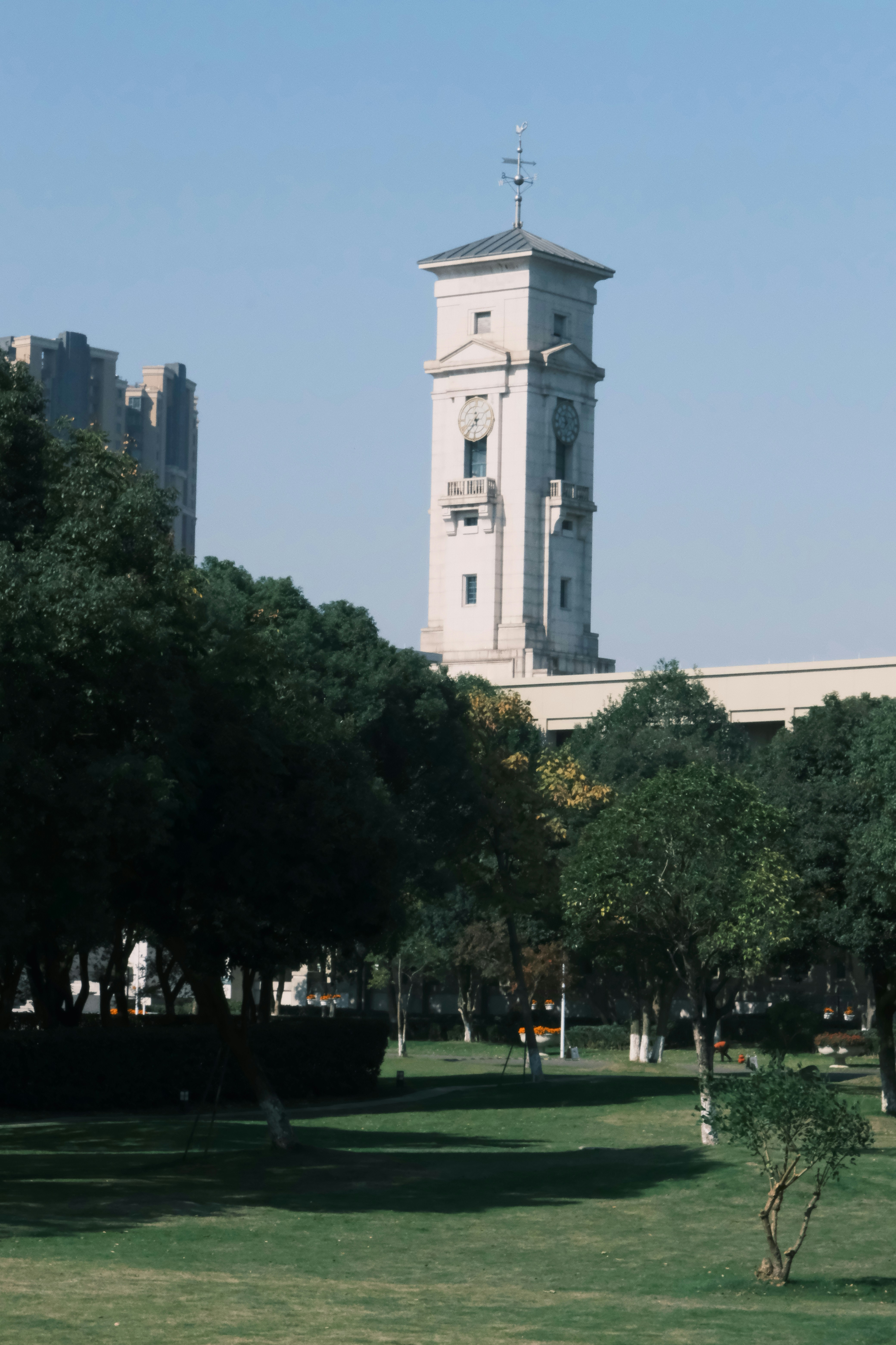 A tall white clock tower towering over a lush green park photo – Free ...