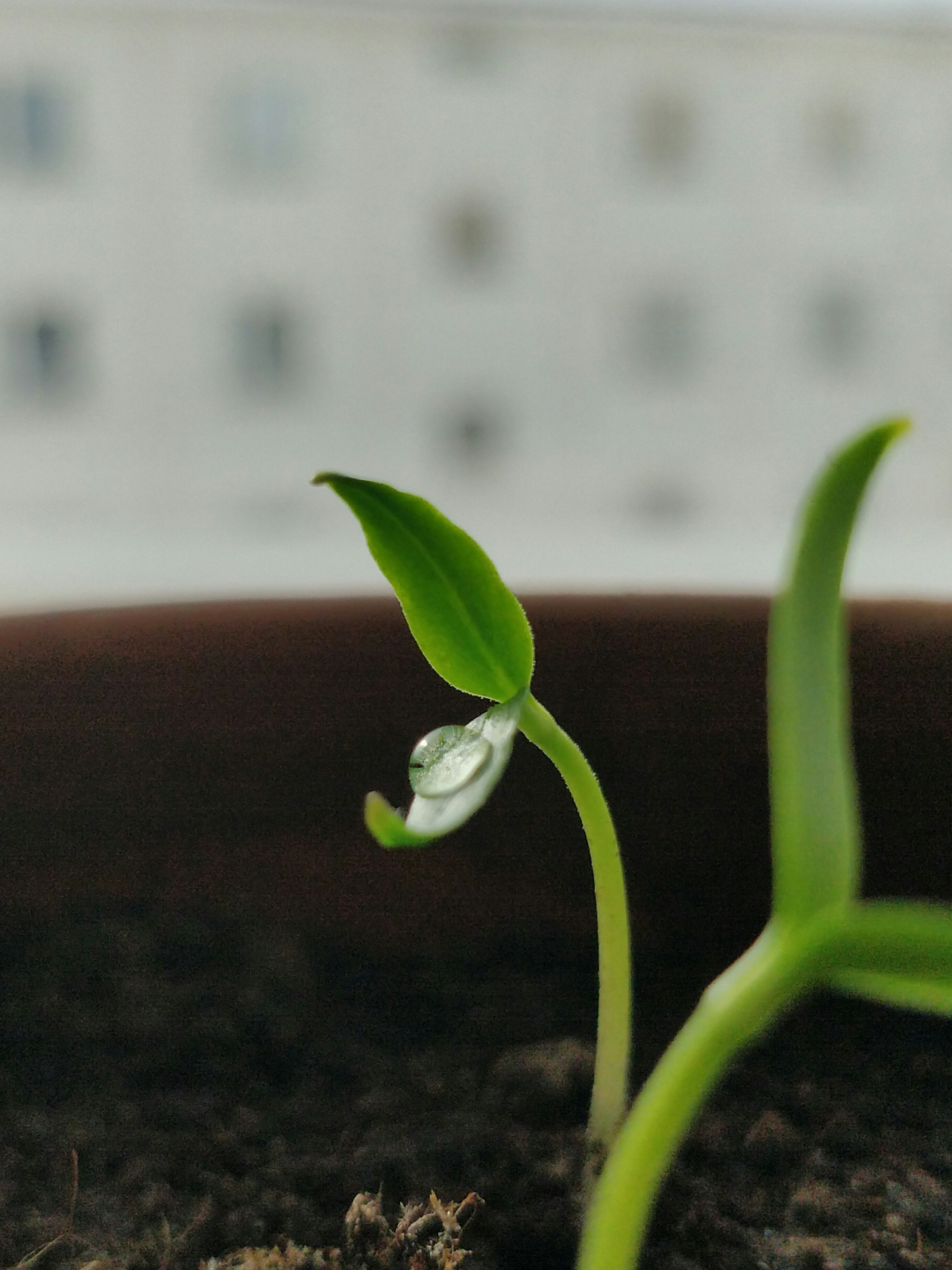 Toni Koukkula (@tonikou) | Unsplash Photo Community