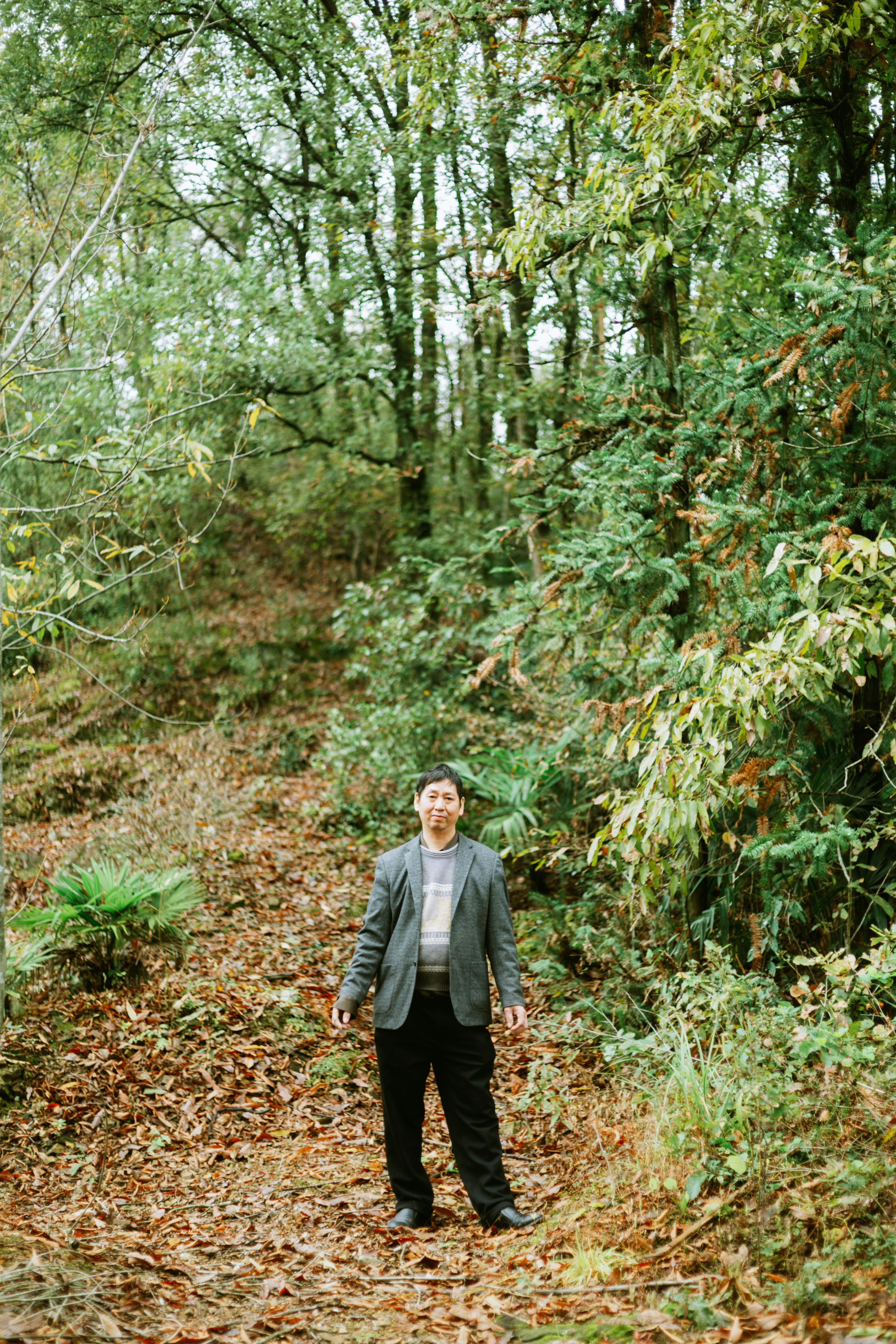 Man in a suit stands amidst a lush forest path adorned with autumn leaves. The vibrant greenery contrasts with the earthy tones of the ground.