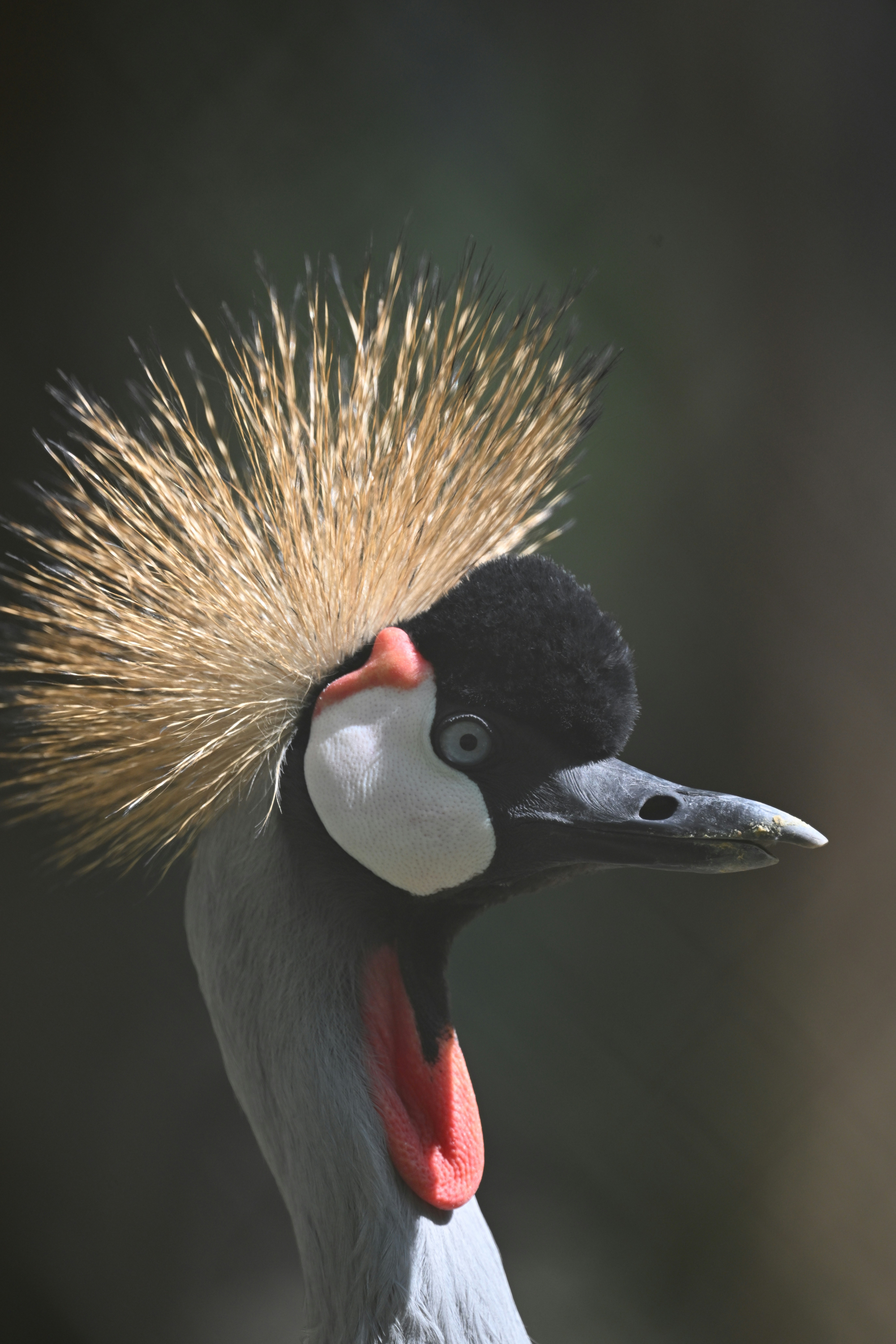 gang coo (@ici_laba) | Unsplash Photo Community