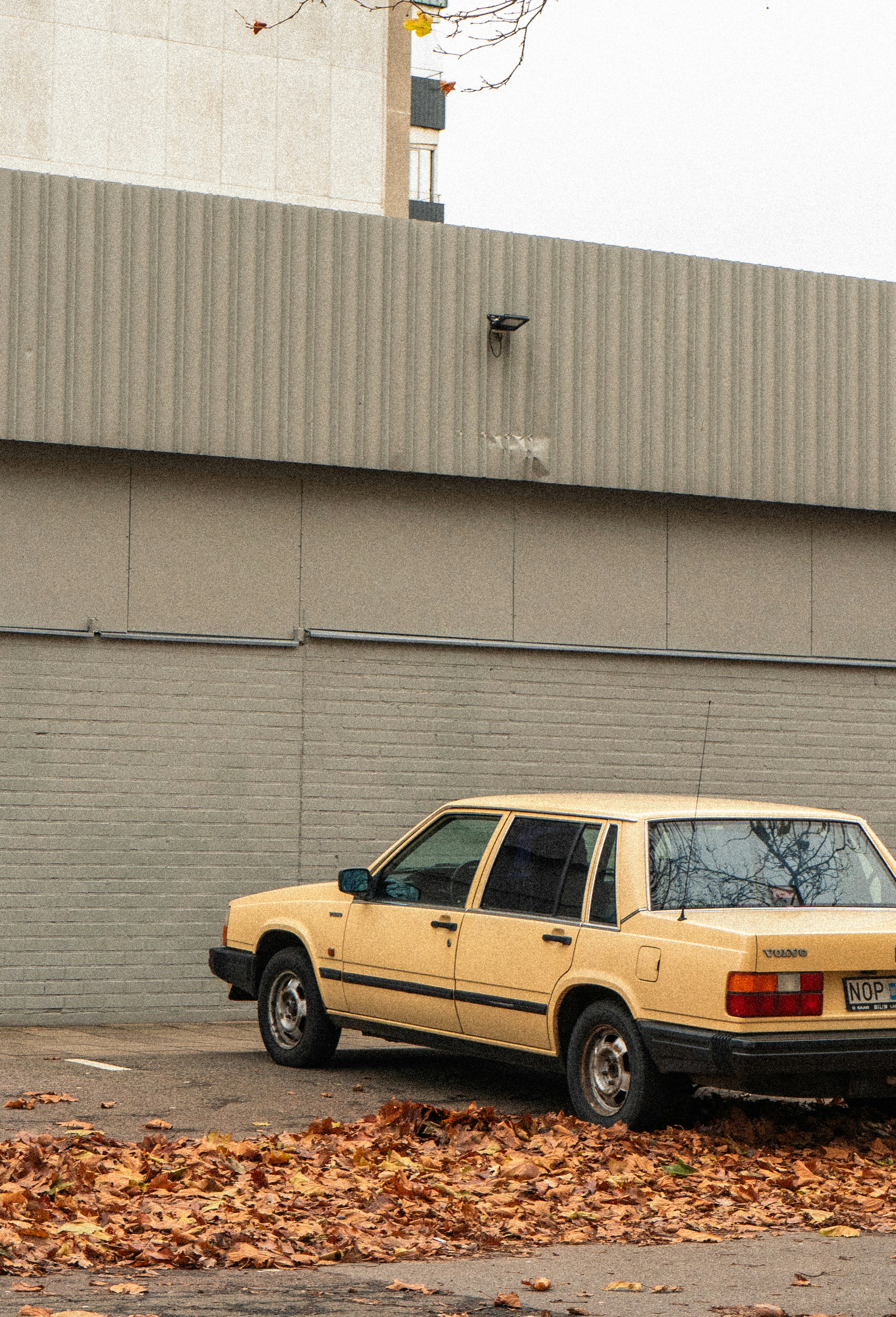 Yellow Wagon at the Edge of Autumn Parking