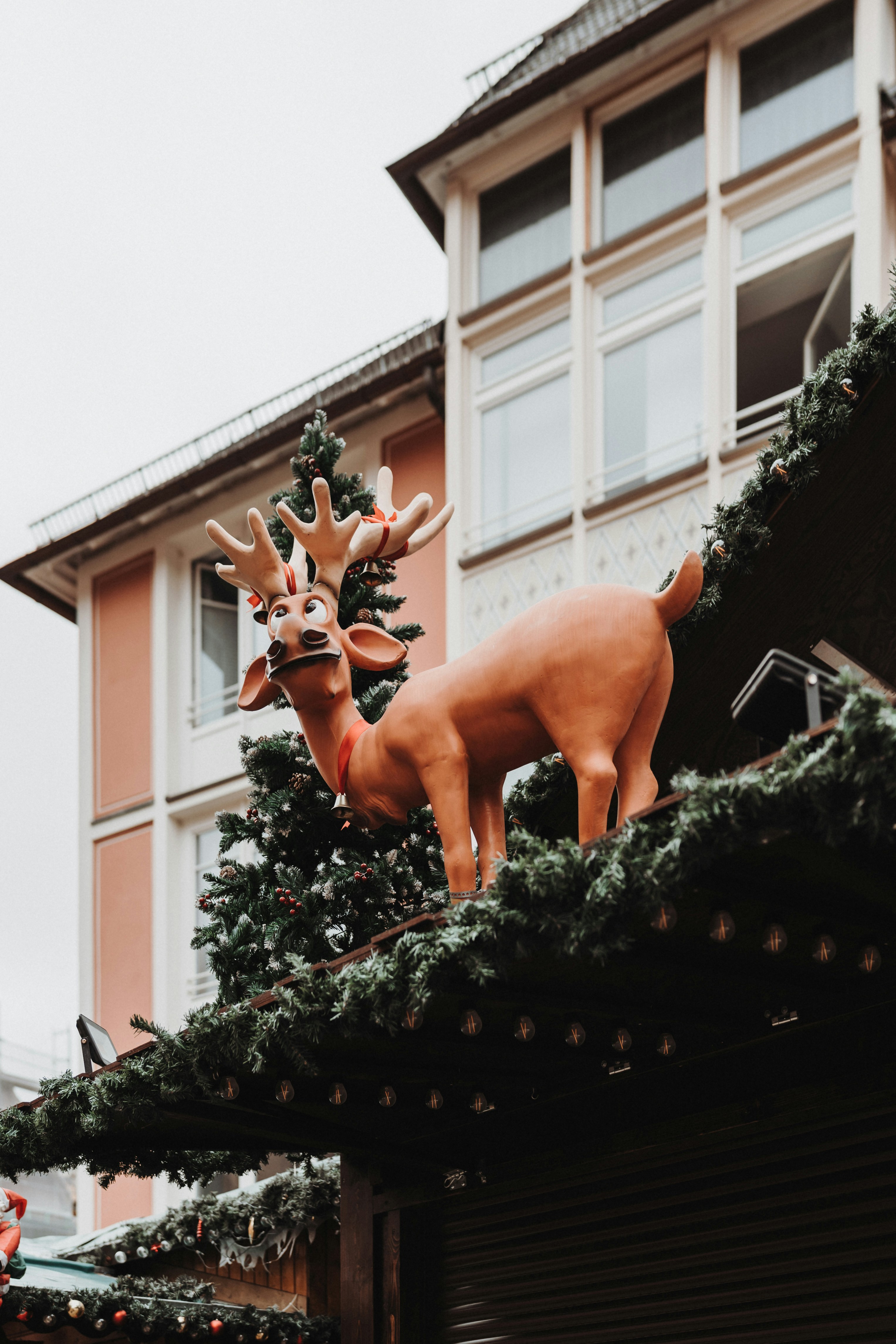 Rooftop Reindeer: A Festive Guardian Over Garlands