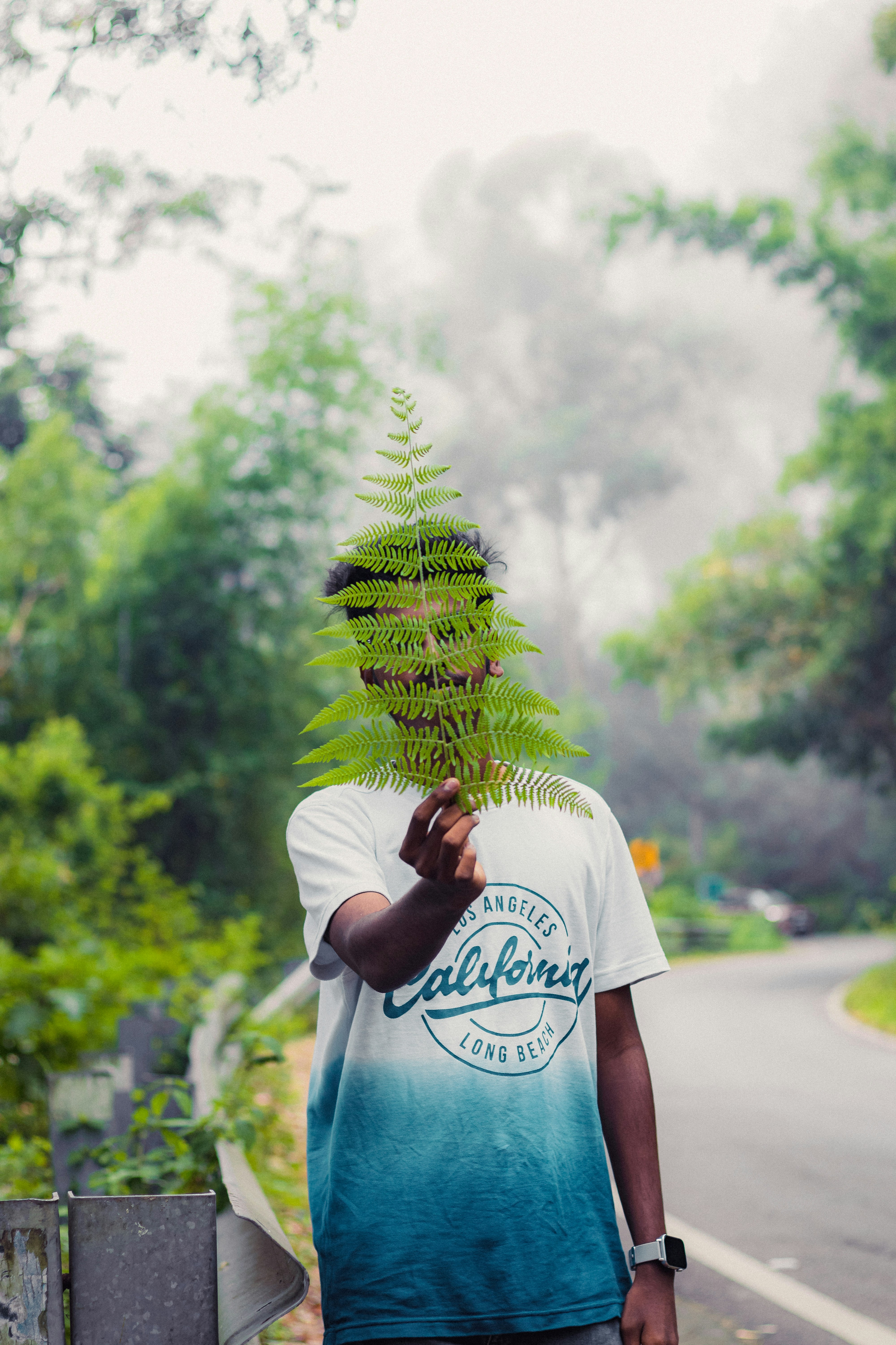 A man is holding a fern in front of his face photo – Free Tree Image on ...