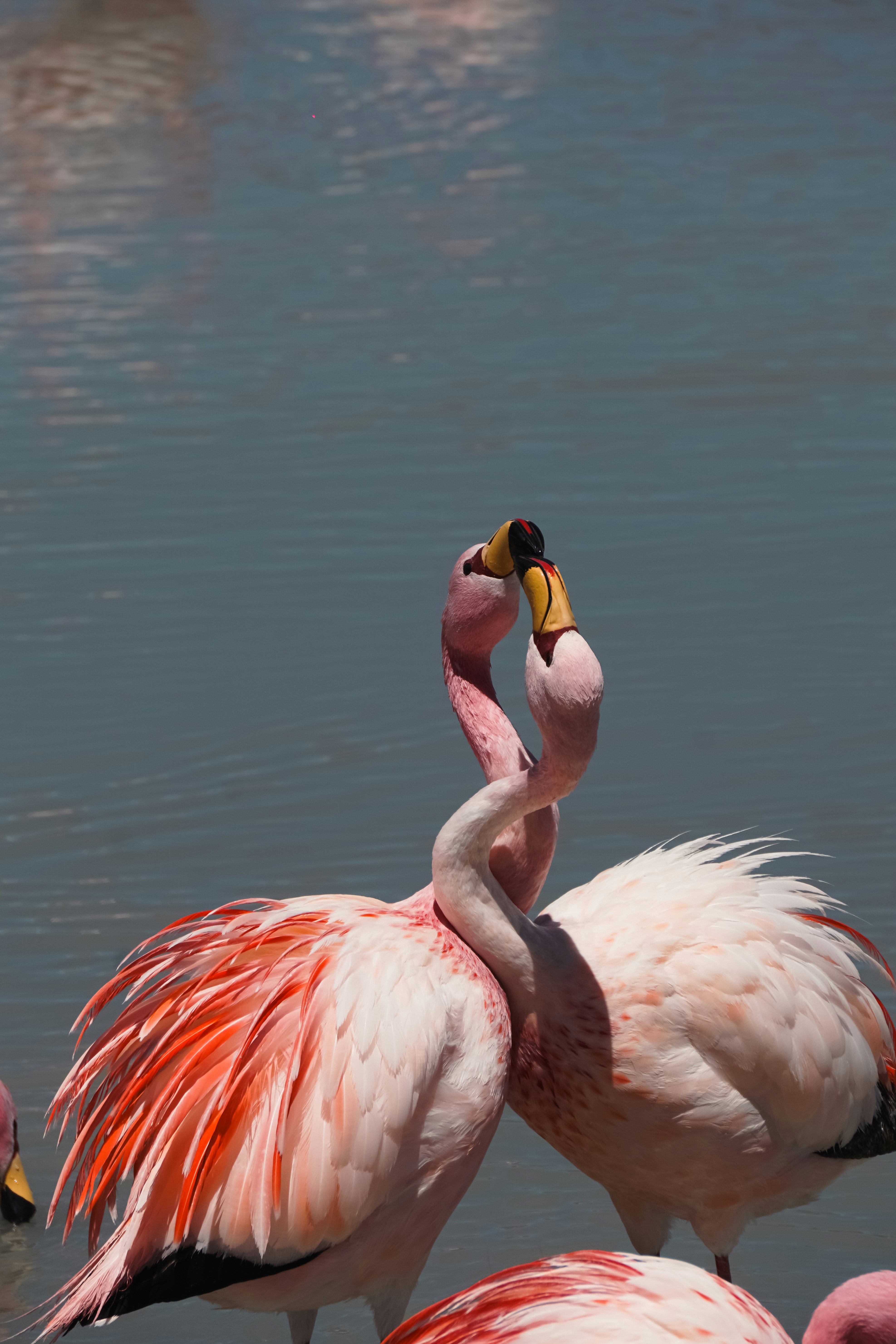 Photo by sander traa with Sony Alpha 6000