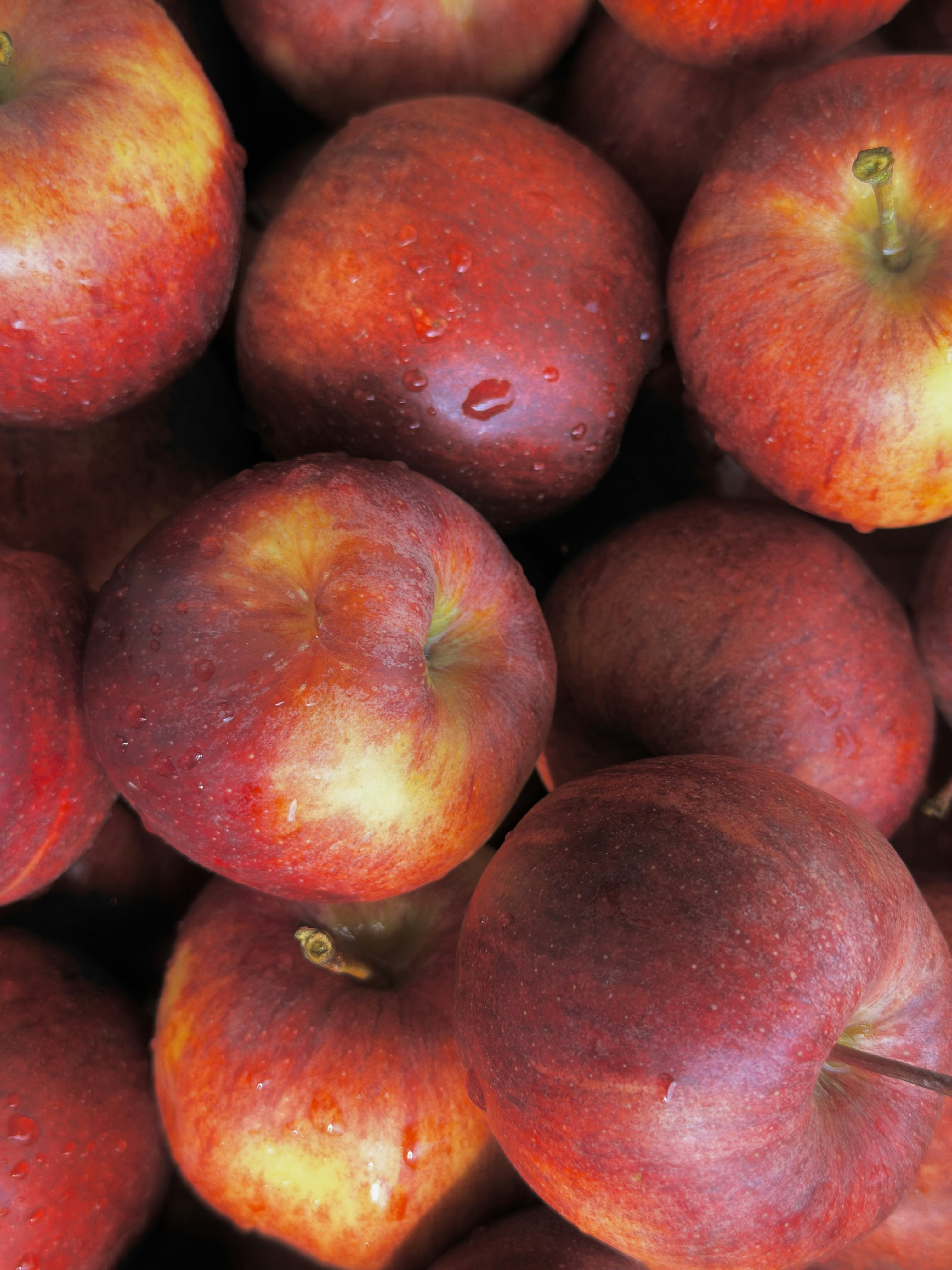 FruitsNeelakshi Singh