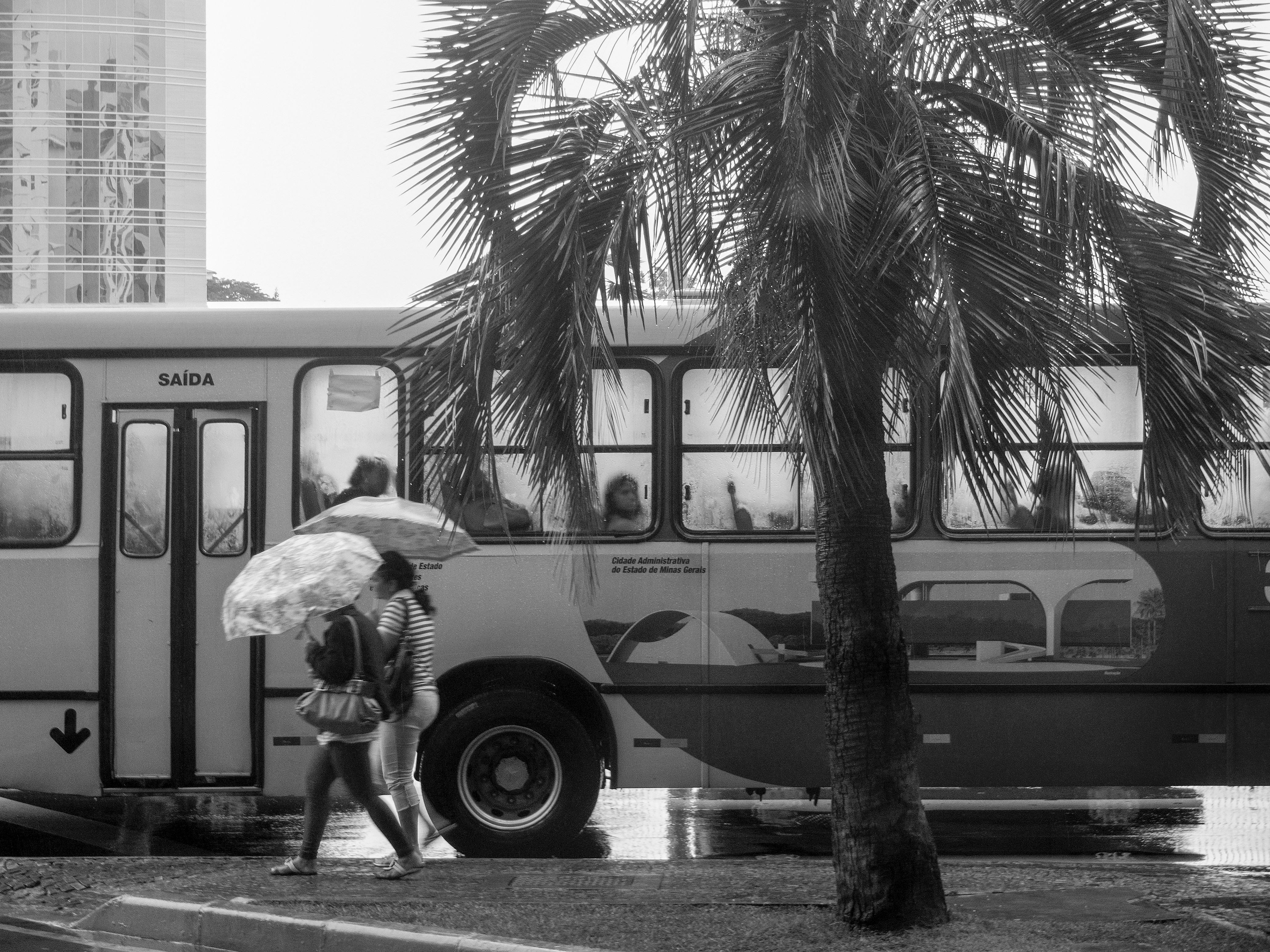 Rainy stride: woman with umbrella beside a city bus
