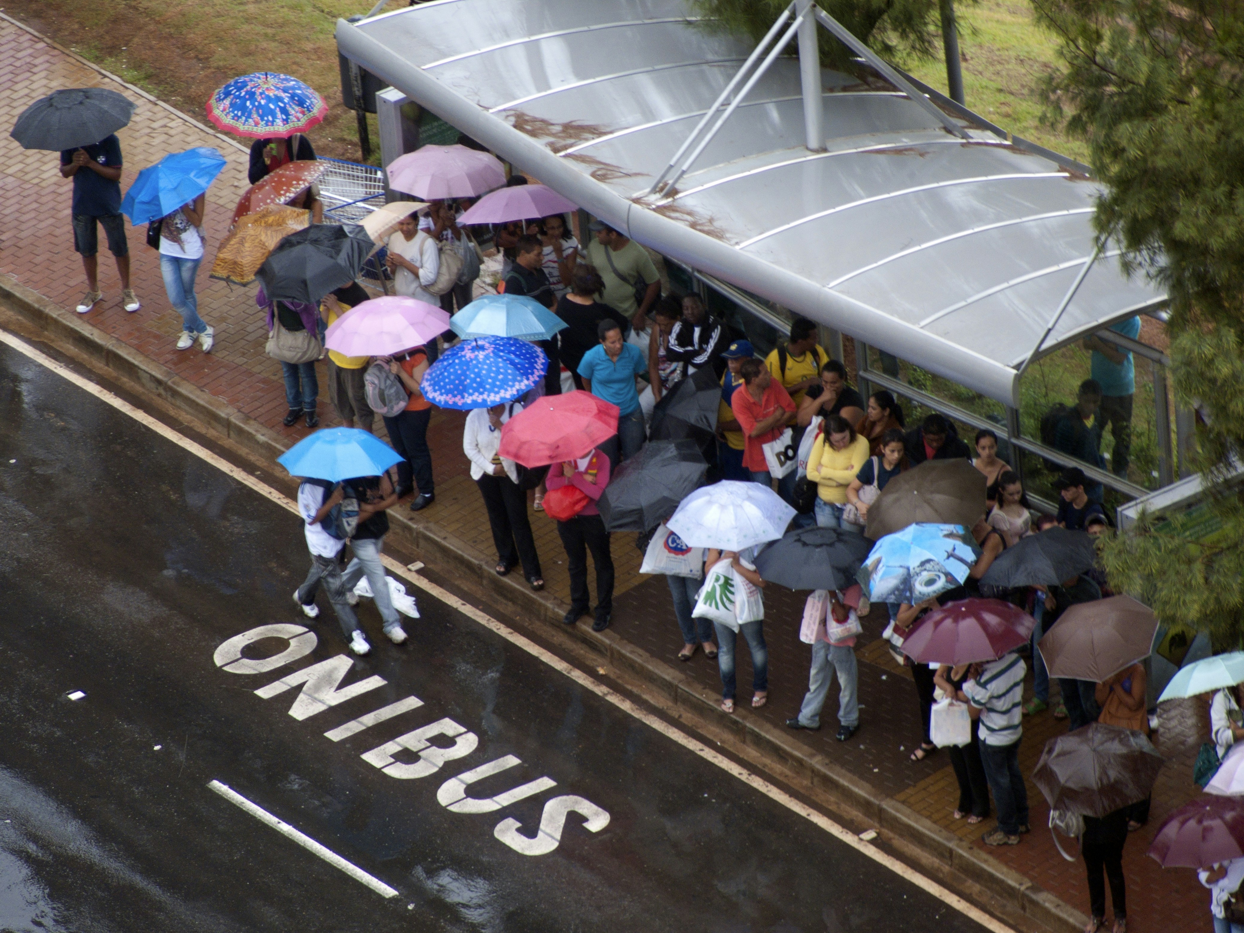 Rain-Soaked Bus Stop: A Multicolored Umbrella Corridor
