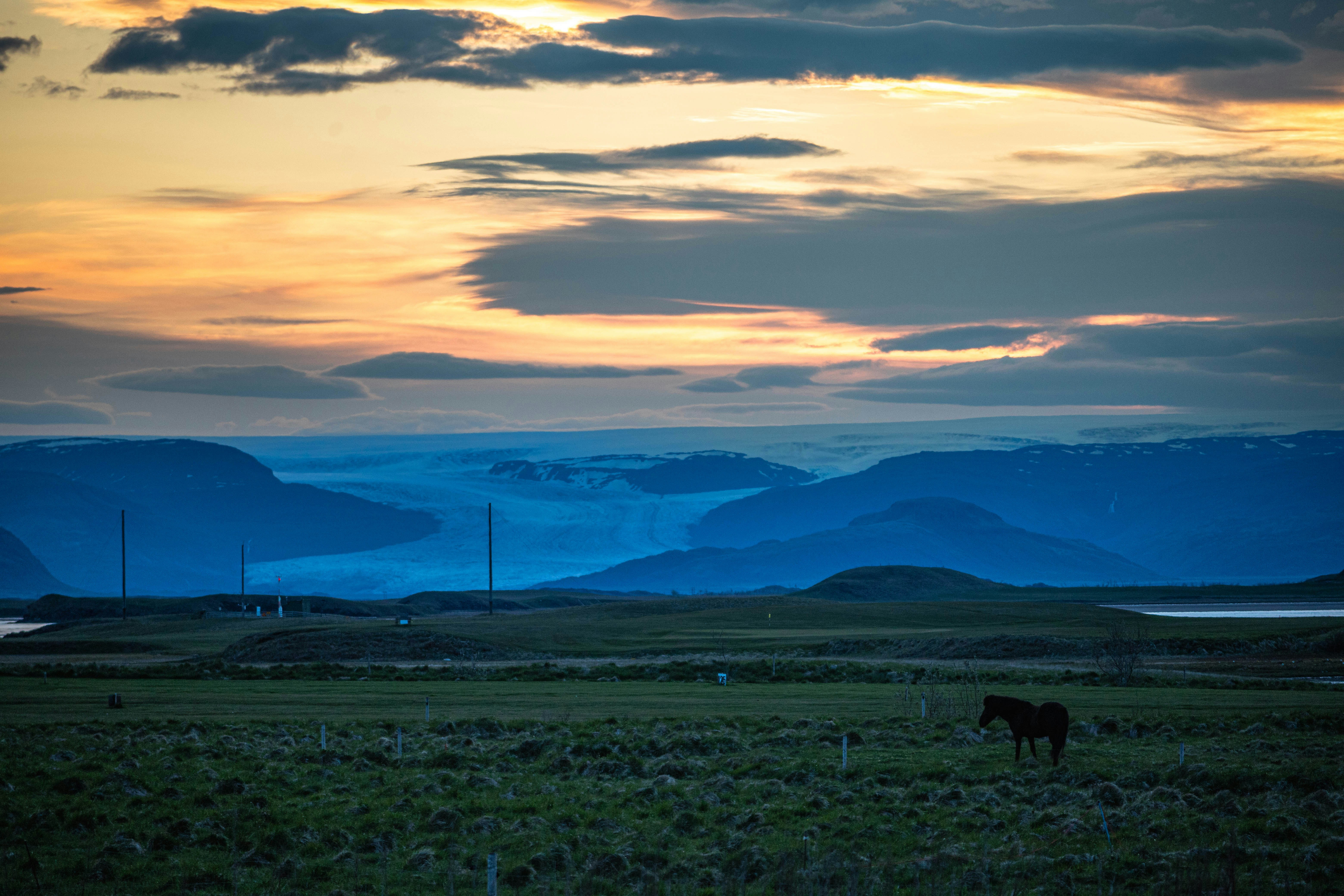 Dusk on the Plains: A Lone Horse Under a Velvet Canyon Sky