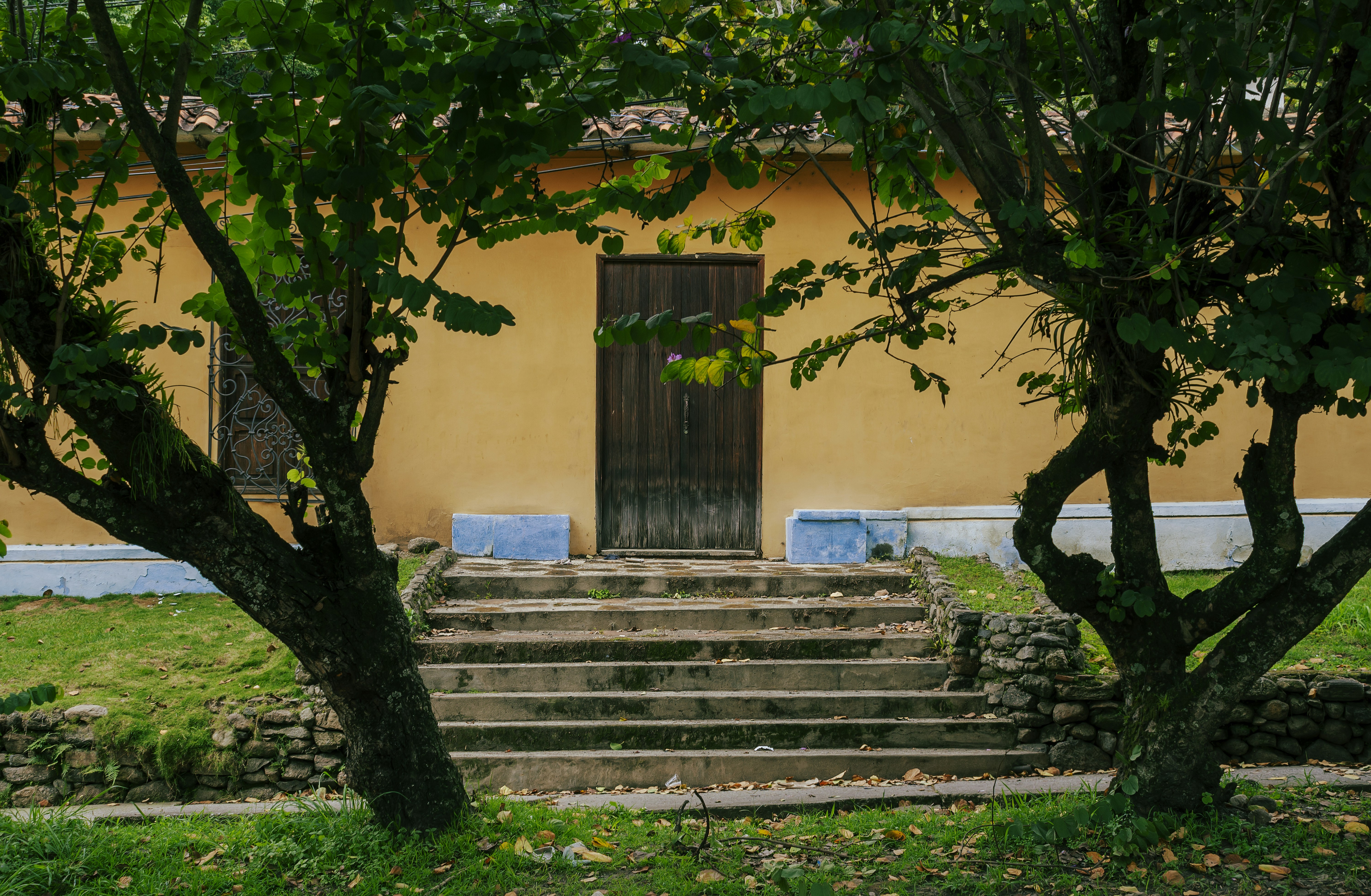 A wooden door surrounded by two trees, creating a sense of privacy and tranquility. The door is painted white and has a simple design, contrasting with the green leaves and the brown bark of the trees. The image captures the beauty of nature and the charm of a rural setting.
