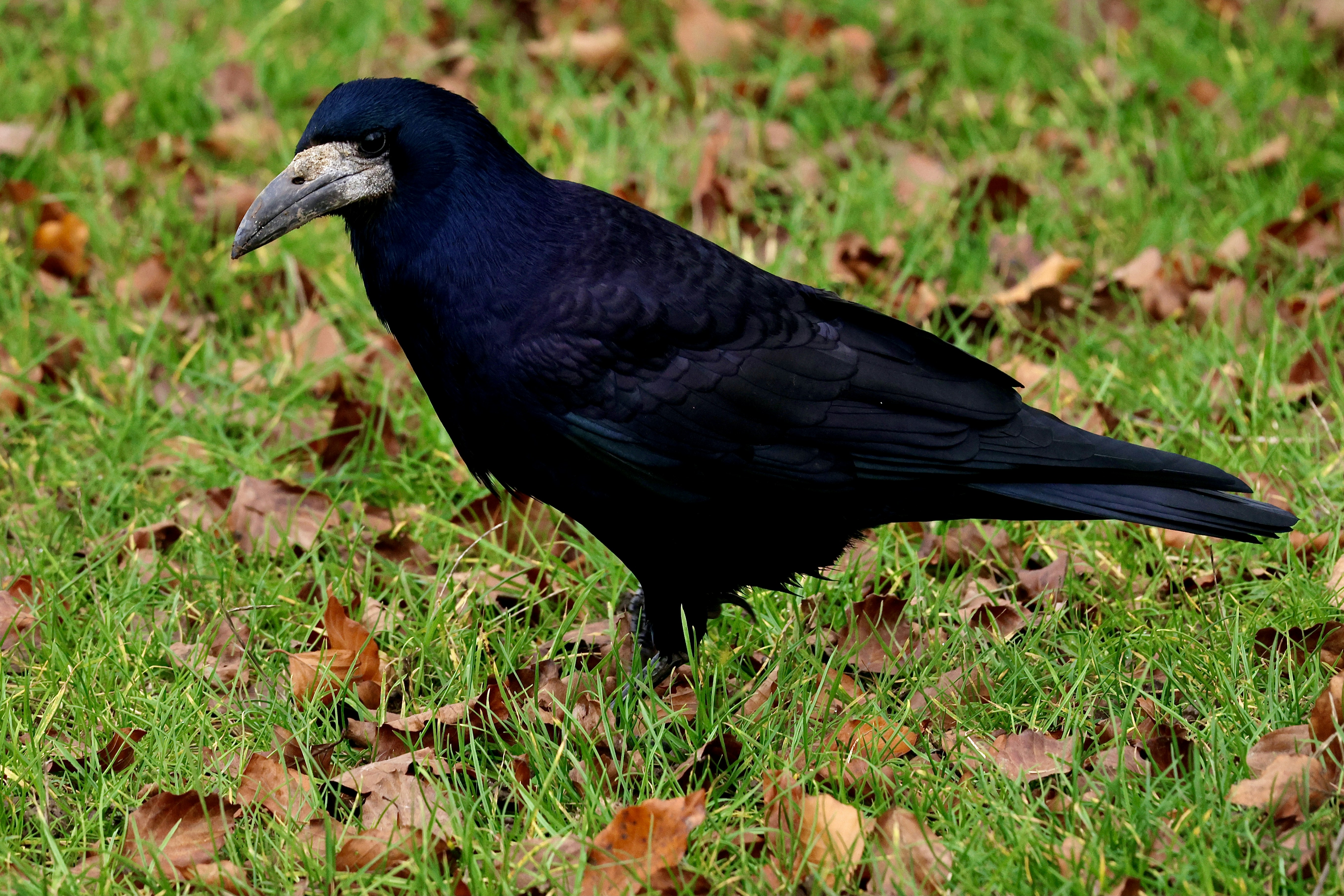 Photo by James Wainscoat with Canon EOS R5