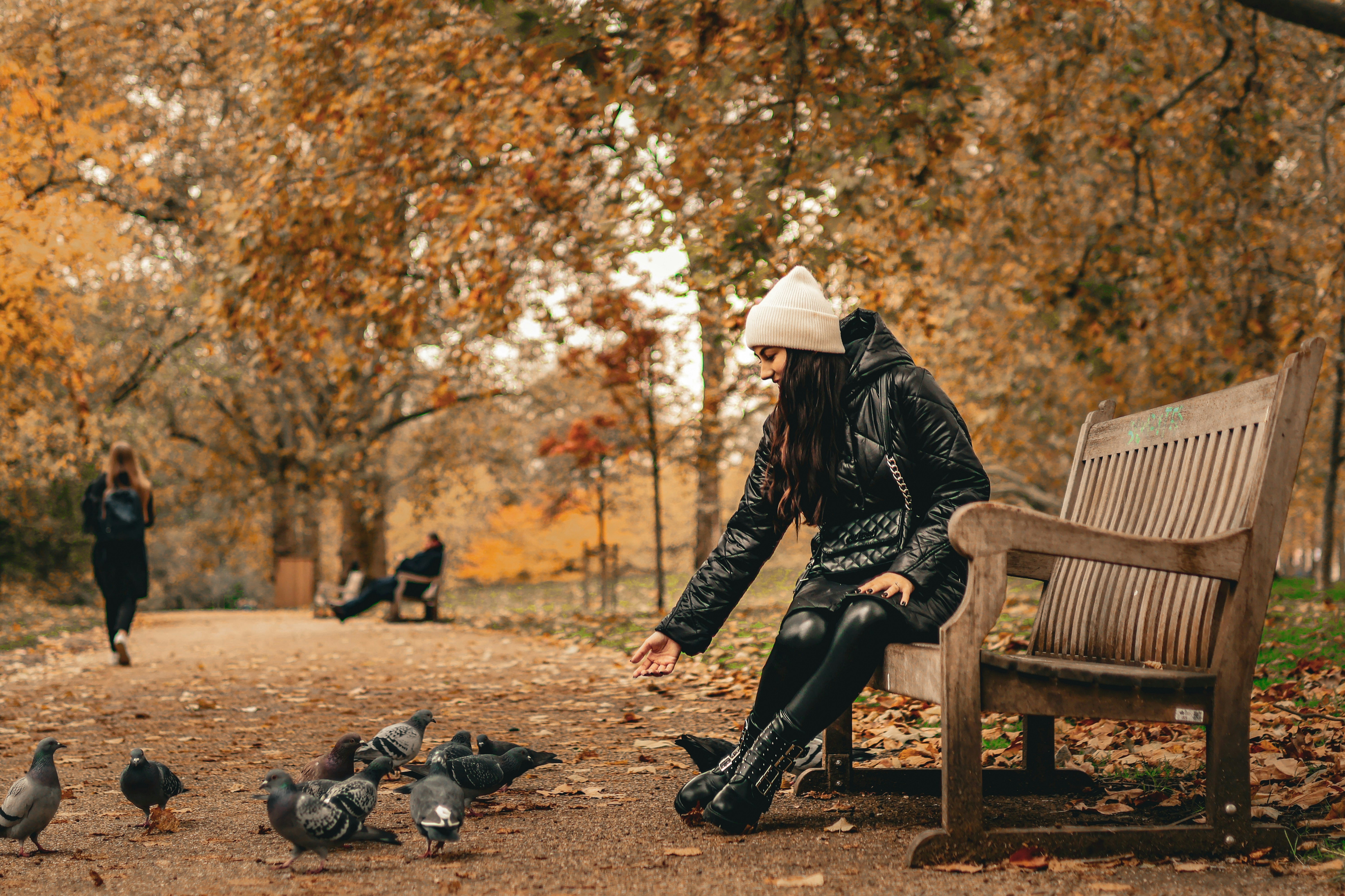 Autumn Calm: A Quiet Moment on the Park Bench