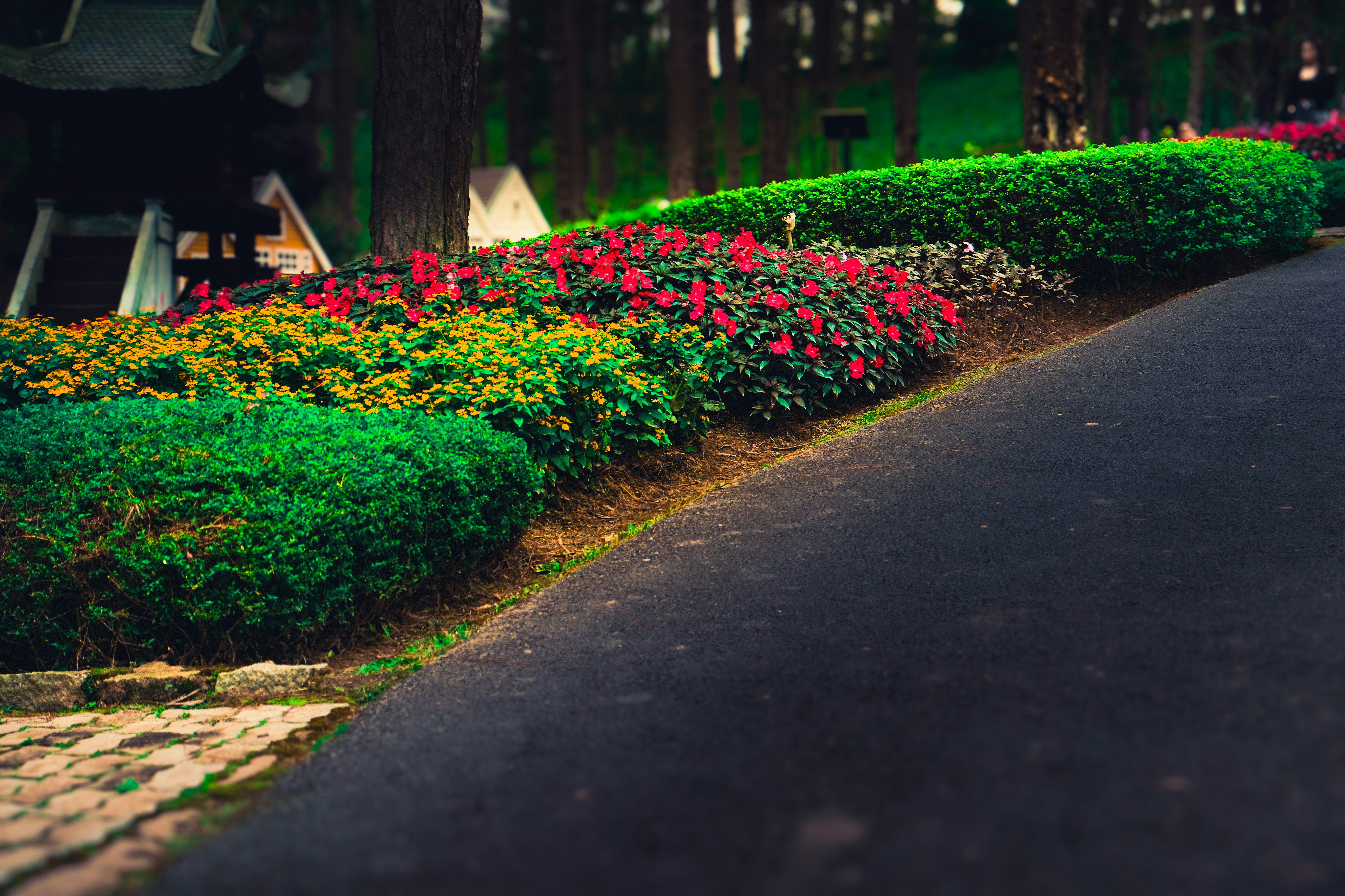 Roads Trees And Flowers HelloDecor Polyster 7x5ft Photography