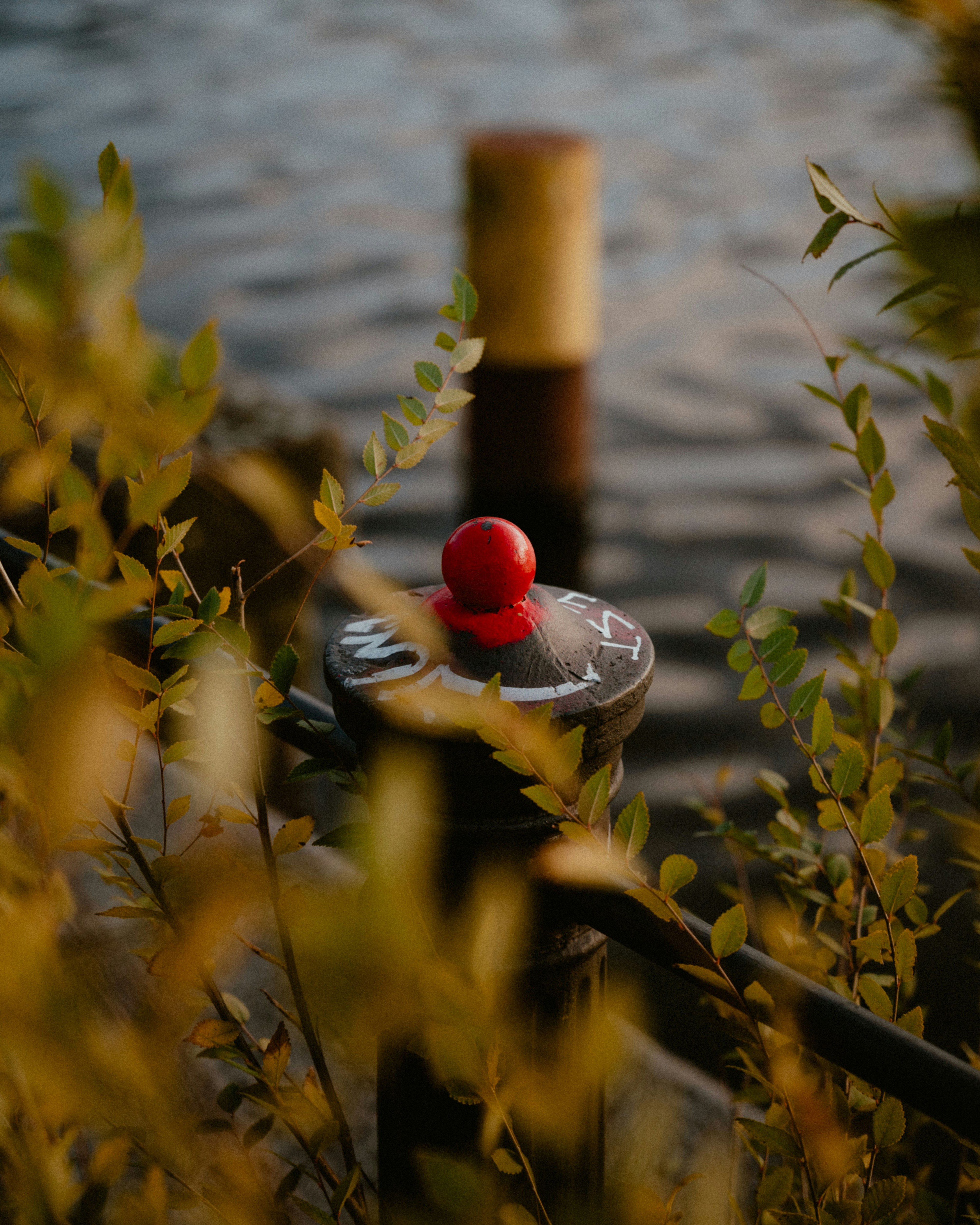 Red Knob Overlooks the Quiet Water