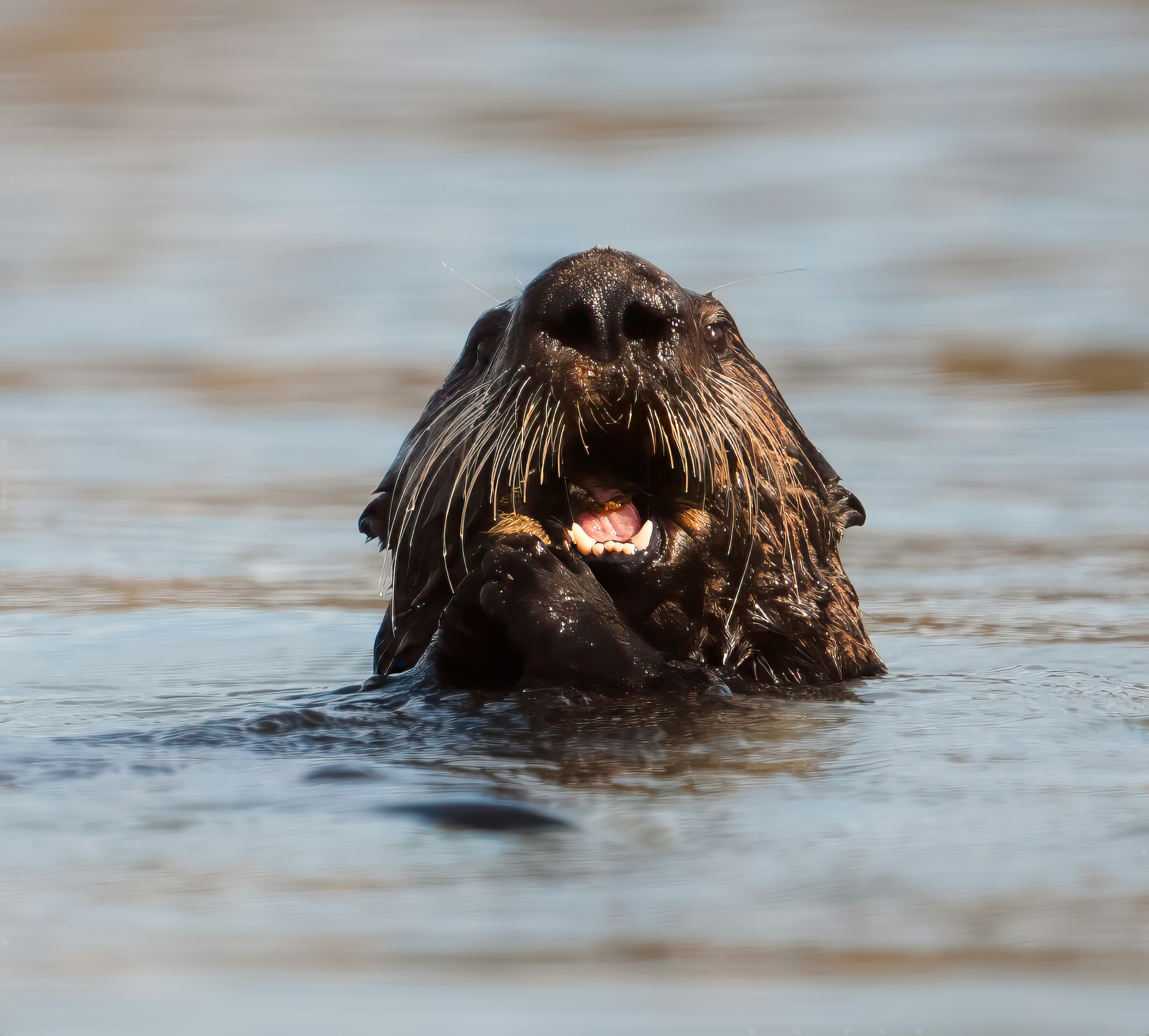 Photo by mana5280 with Sony Alpha 1