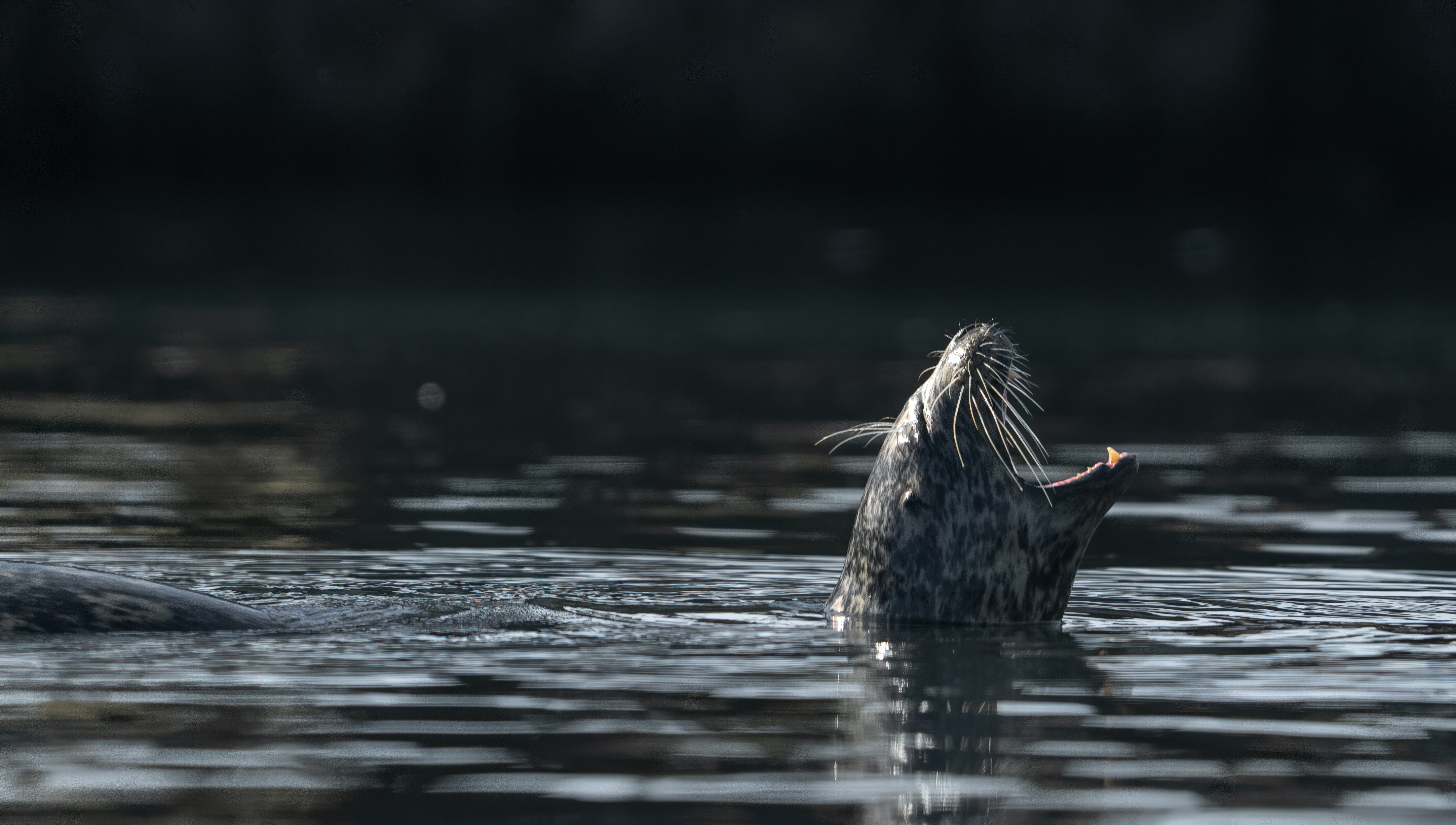 Photo by mana5280 with Sony Alpha 1