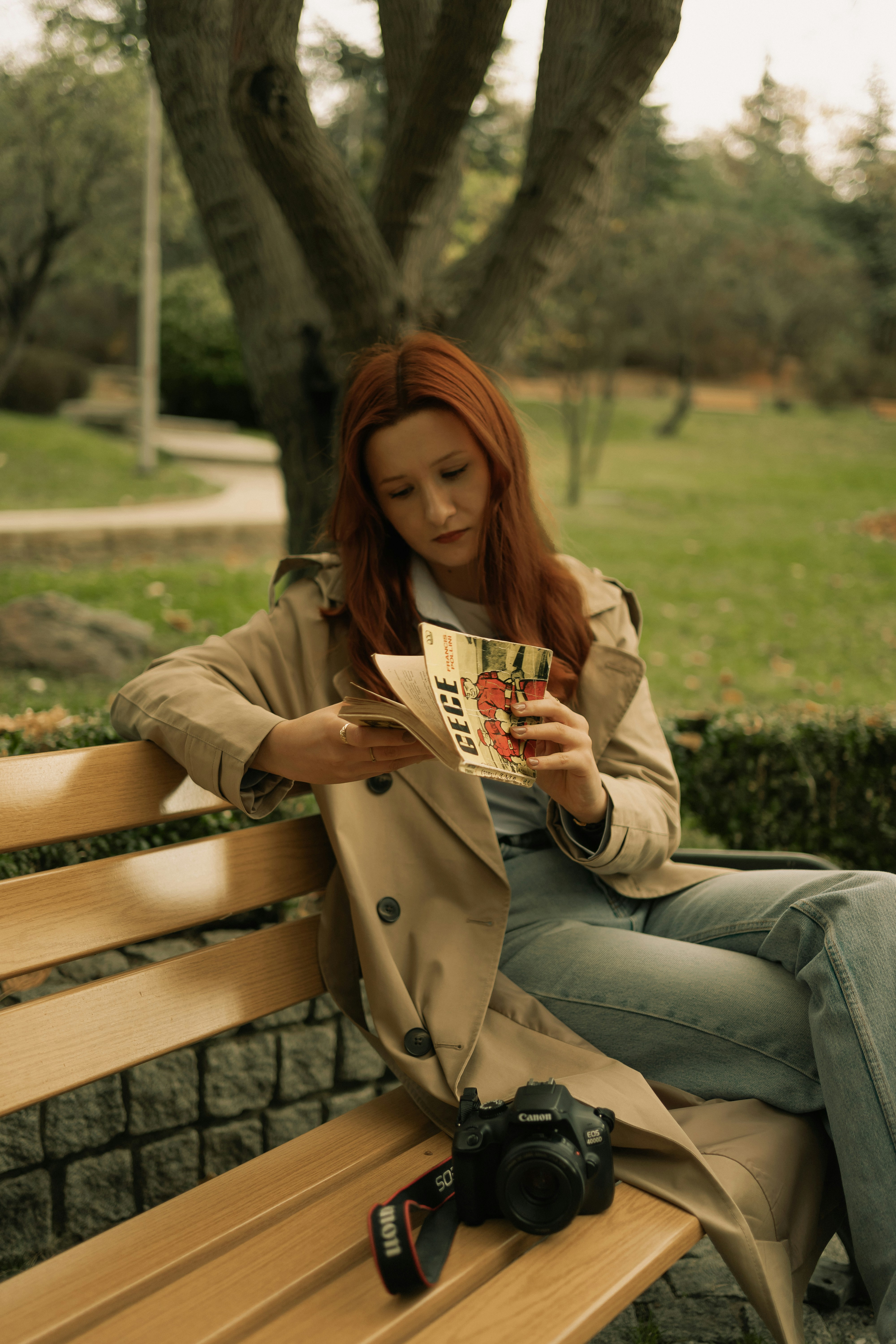 Autumn Stroll: Reading on a Park Bench